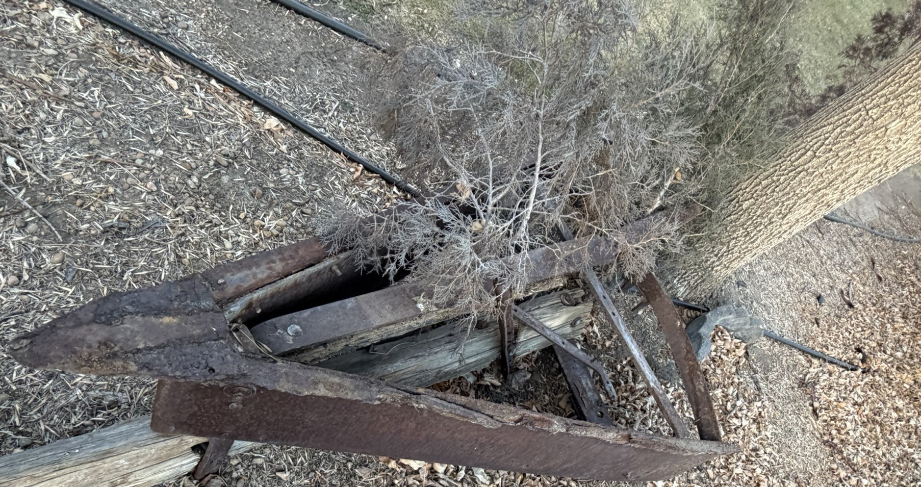 Antique Bore Drain Delver (B228)(O) #56211 | Auctionninja.com