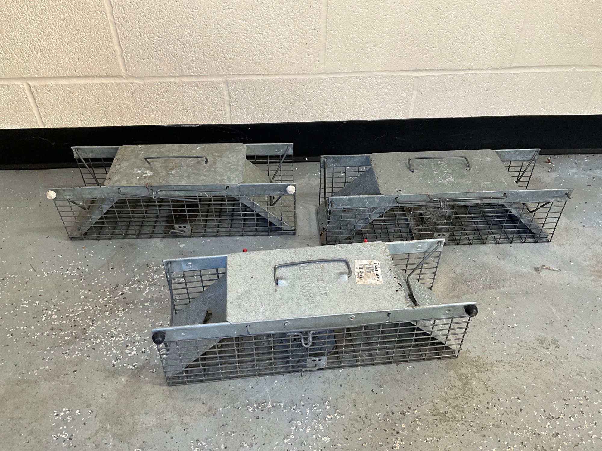 (3) Small Metal Animal Traps #37956 | Auctionninja.com