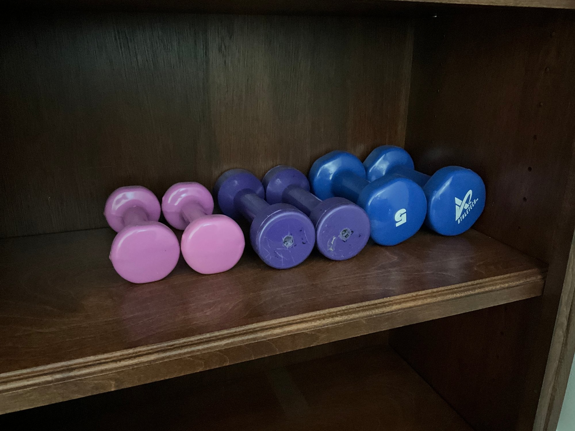 Grouping Of Hand Weights #28073 | Auctionninja.com