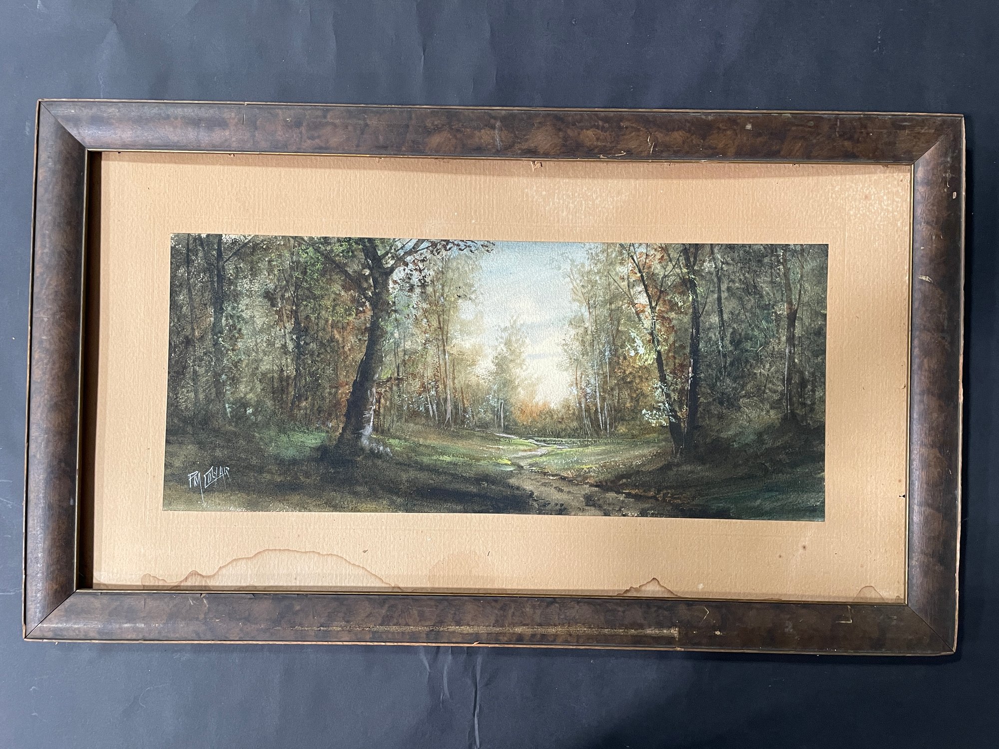 Pauline Meyer Colyar/PA Colyar Forest Watercolor - 16.5" X 28.5 ...
