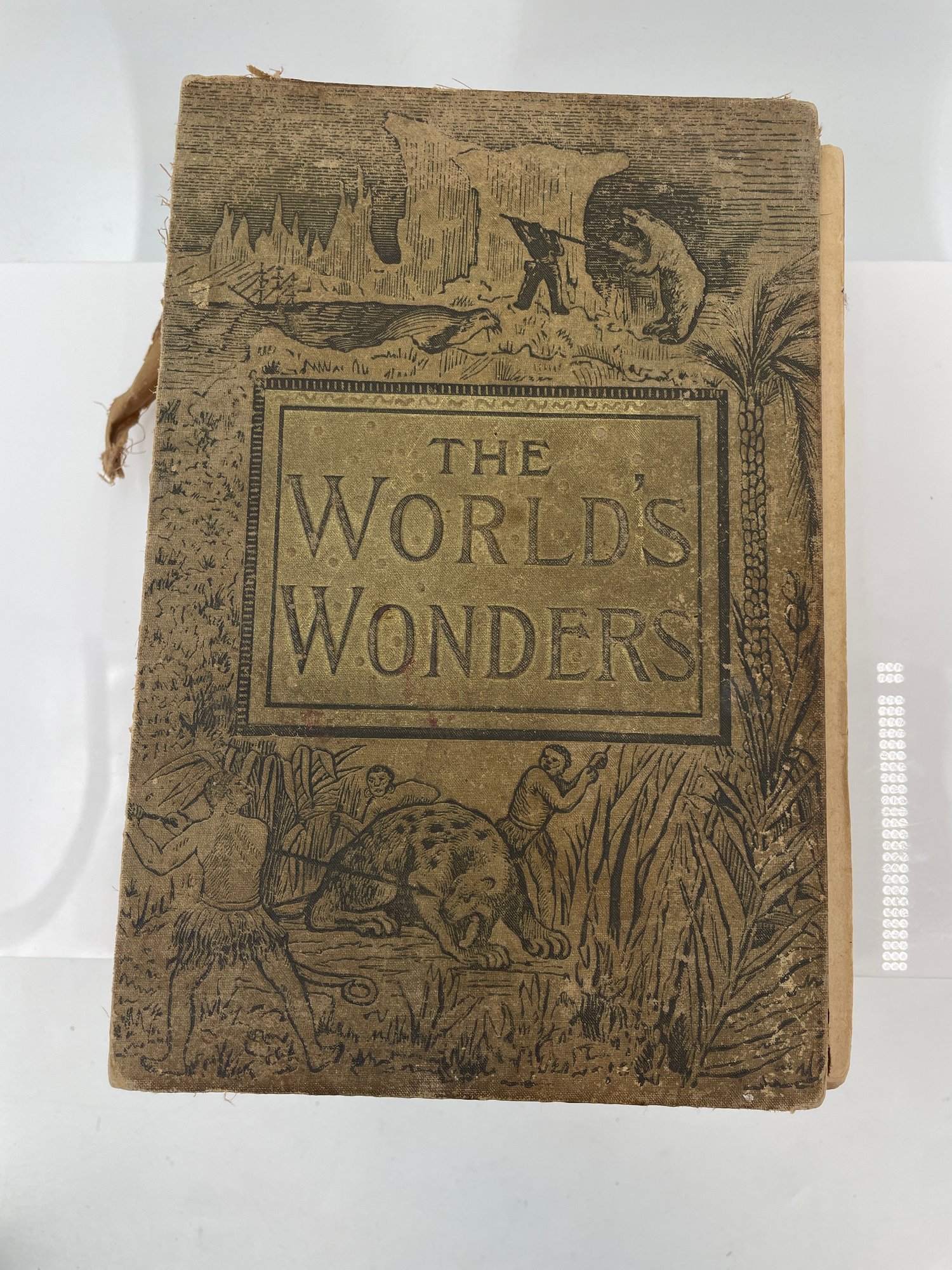 The World's Wonders As Seen By The Great Tropical And Polar Explorers ...