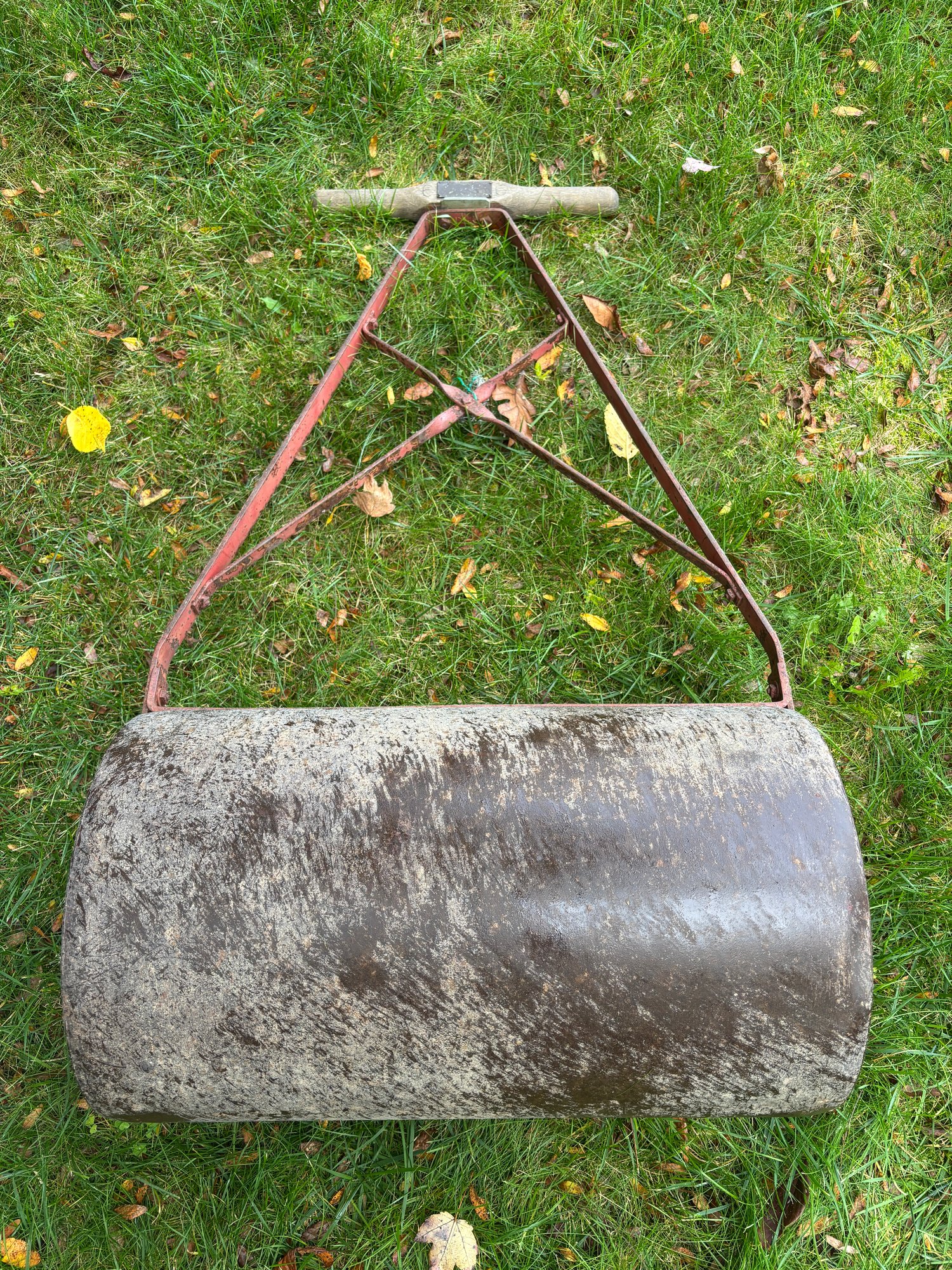 Jackson Manufacturing Roller Antique #113822 | Auctionninja.com