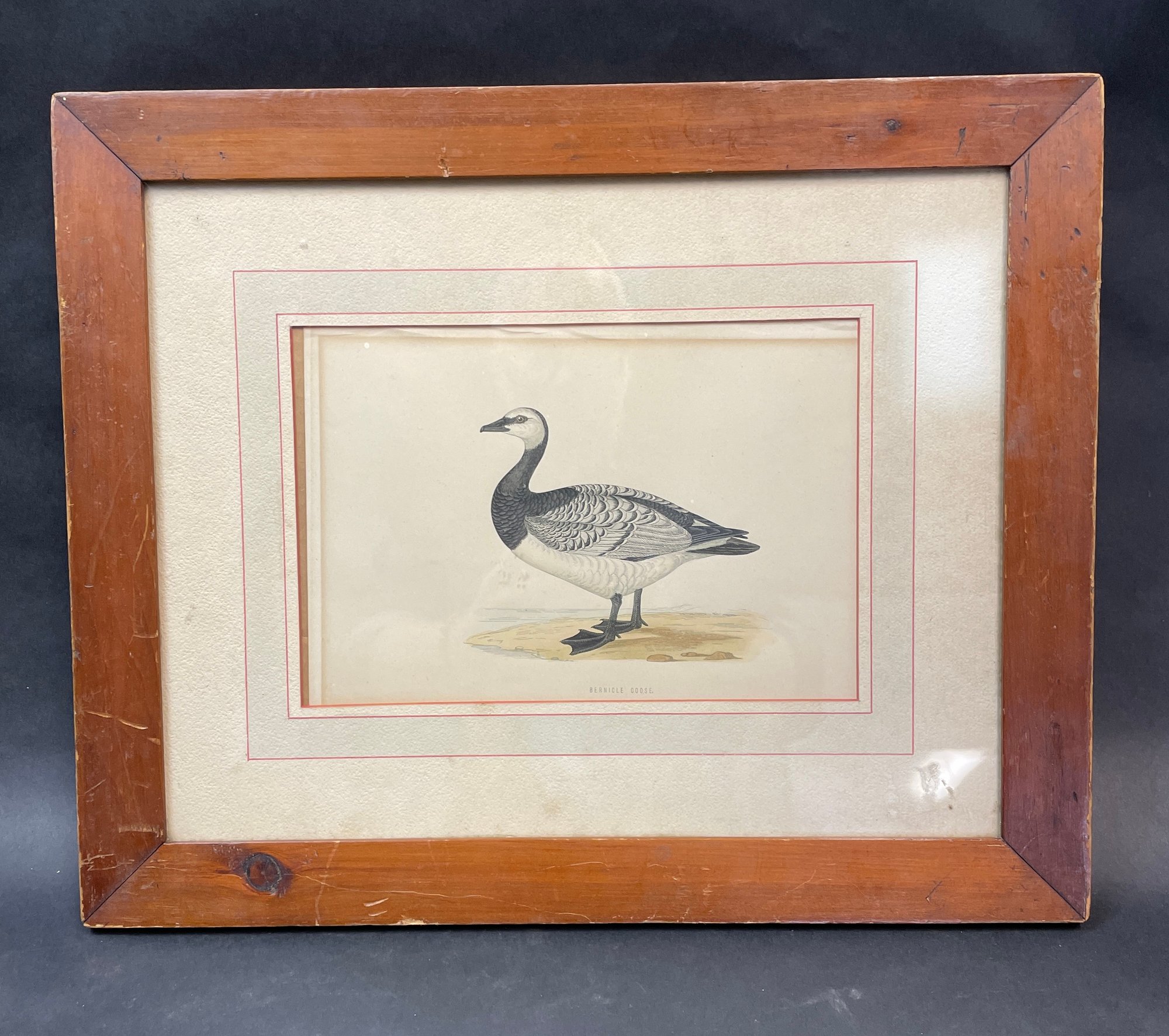 Vintage Canada Goose Print Framed #129368 | Auctionninja.com