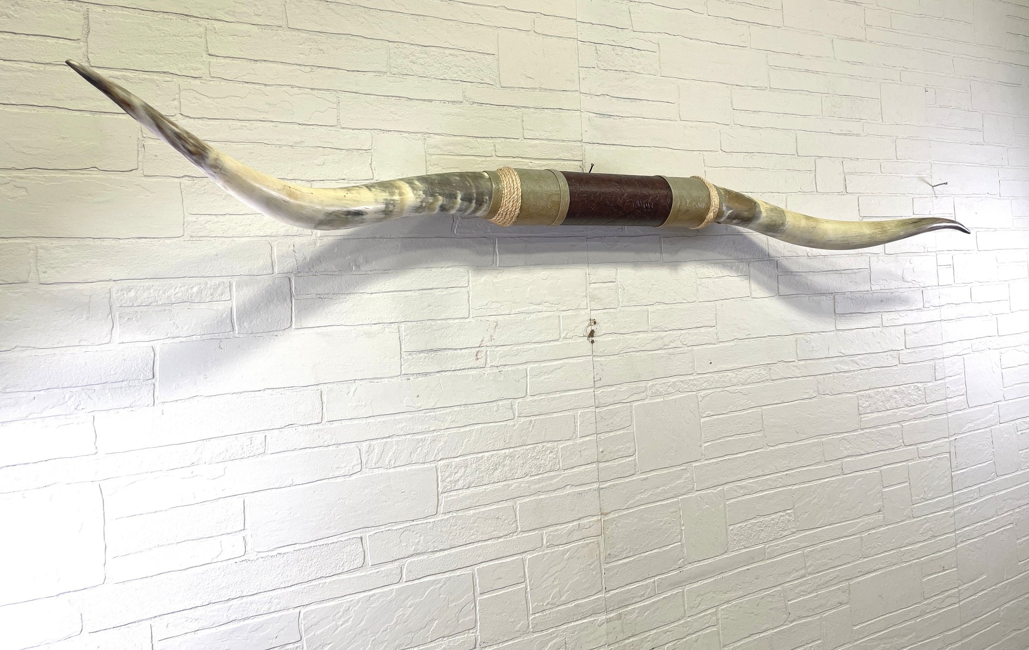 Mounted Texas Longhorn Steer Plaque With Leather And Hide Accents ...
