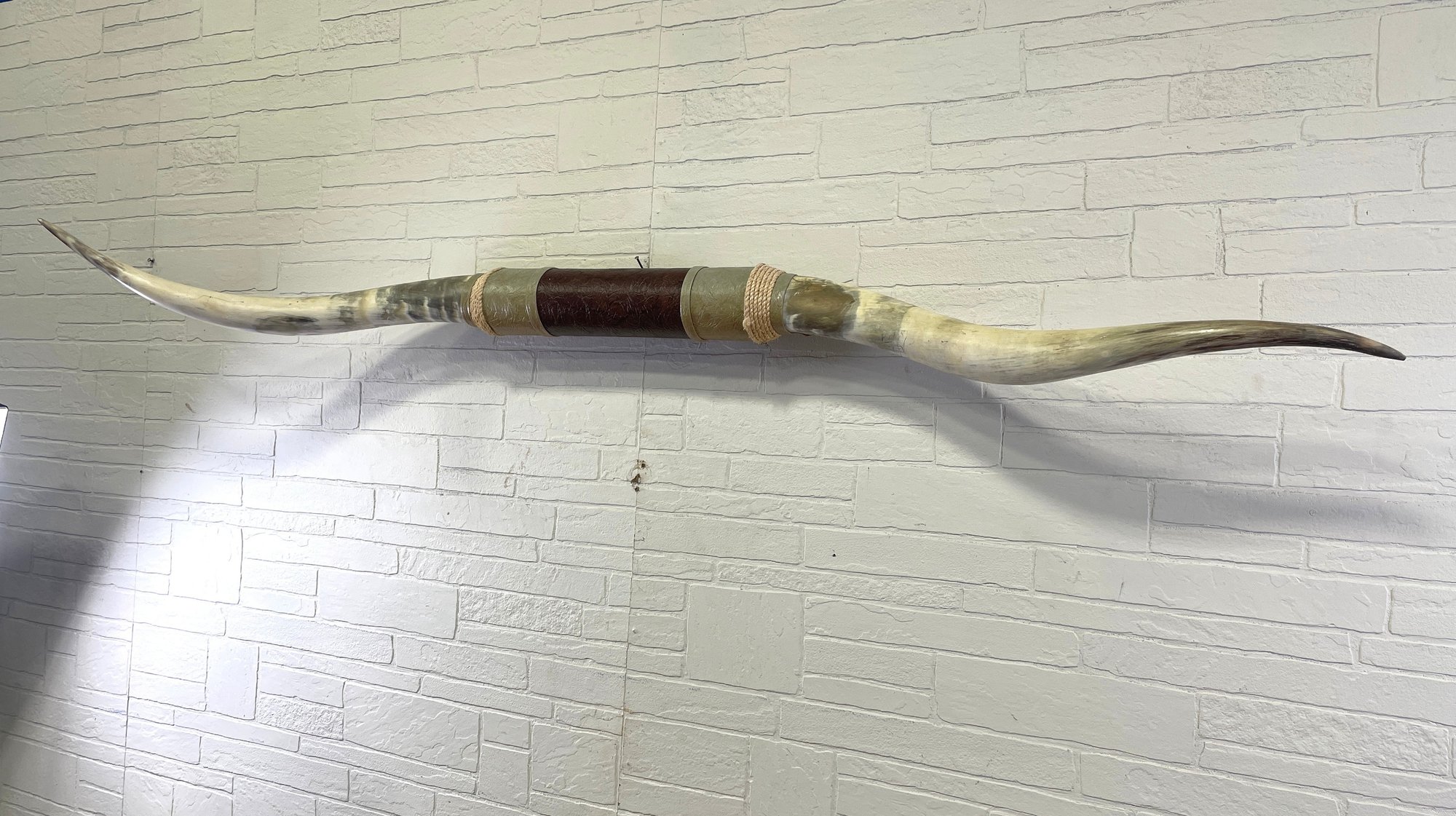 Mounted Texas Longhorn Steer Plaque With Leather And Hide Accents ...