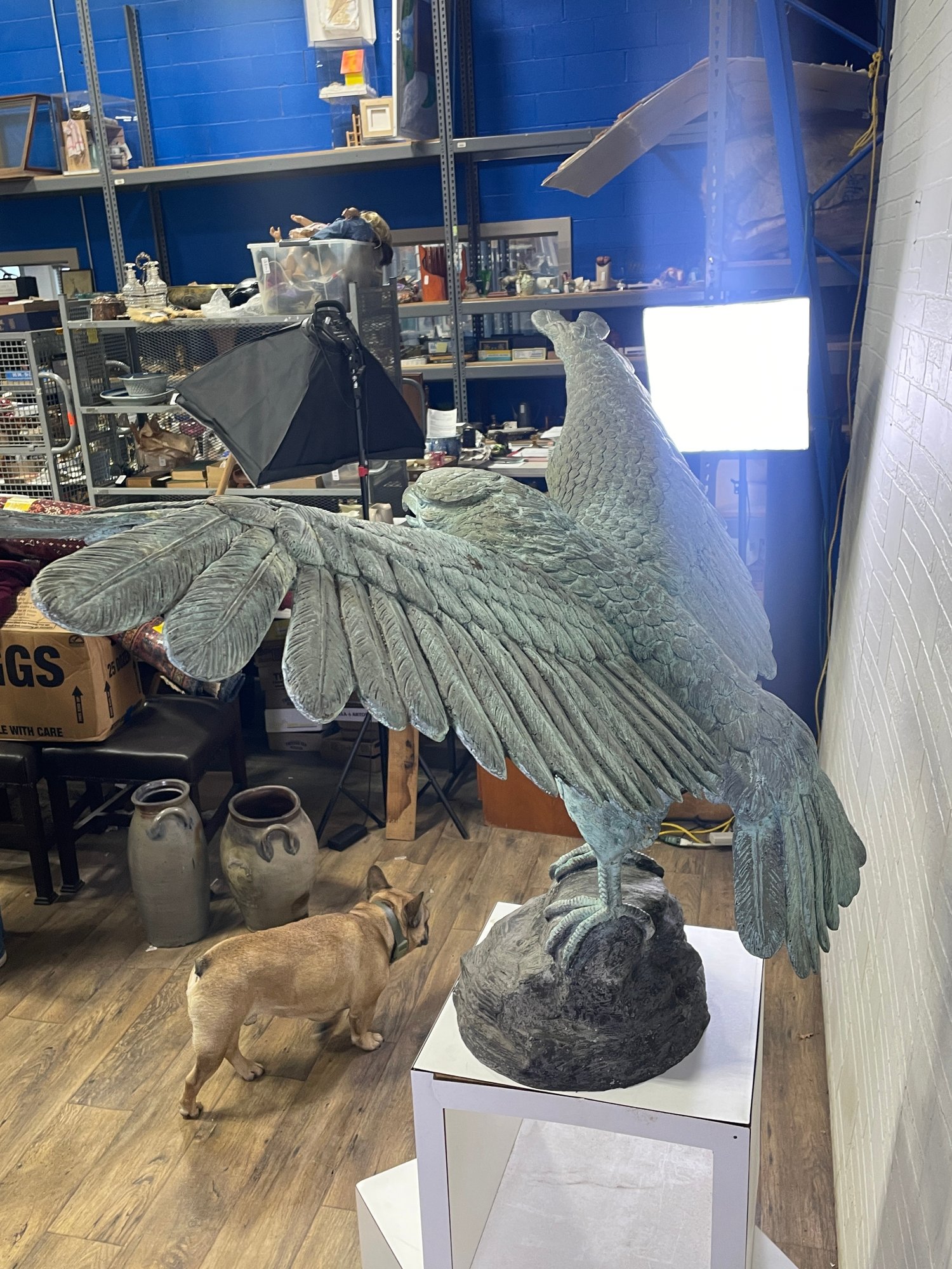 BRONZE SCULPTURE - Full Body Cast Bronze American Eagle With Wings ...