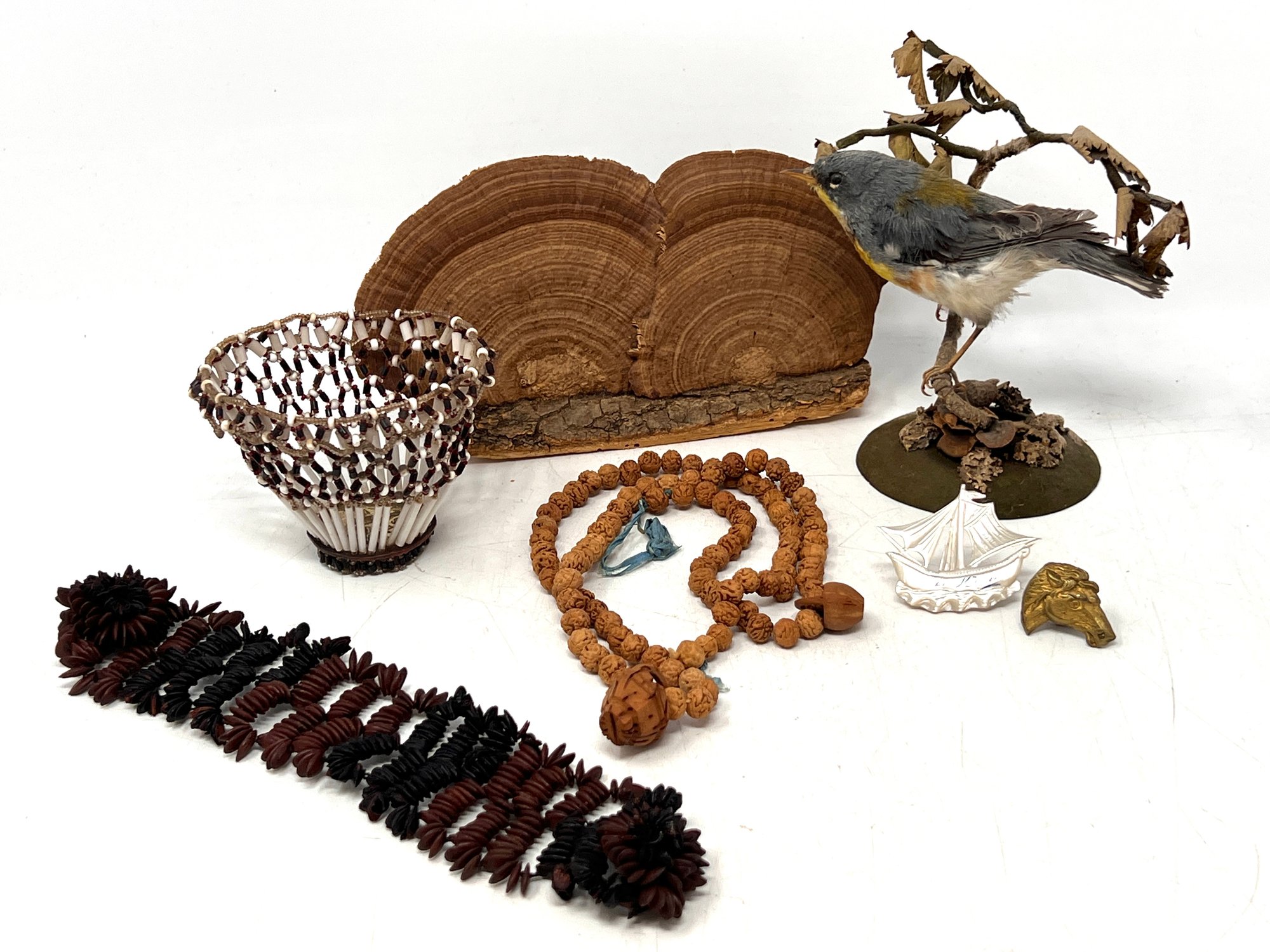 Antique Curiosity Lot! Taxidermy, Specimens And Souvenirs #115855 ...