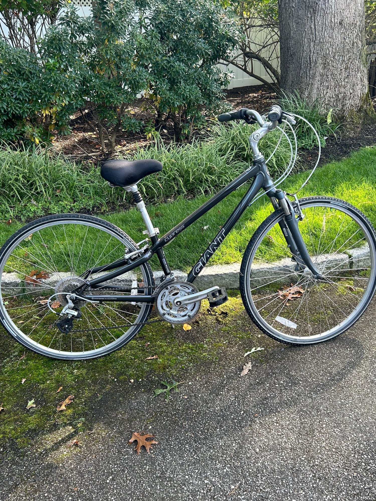 Giant Cypress Model Bicycle #8022 | Auctionninja.com