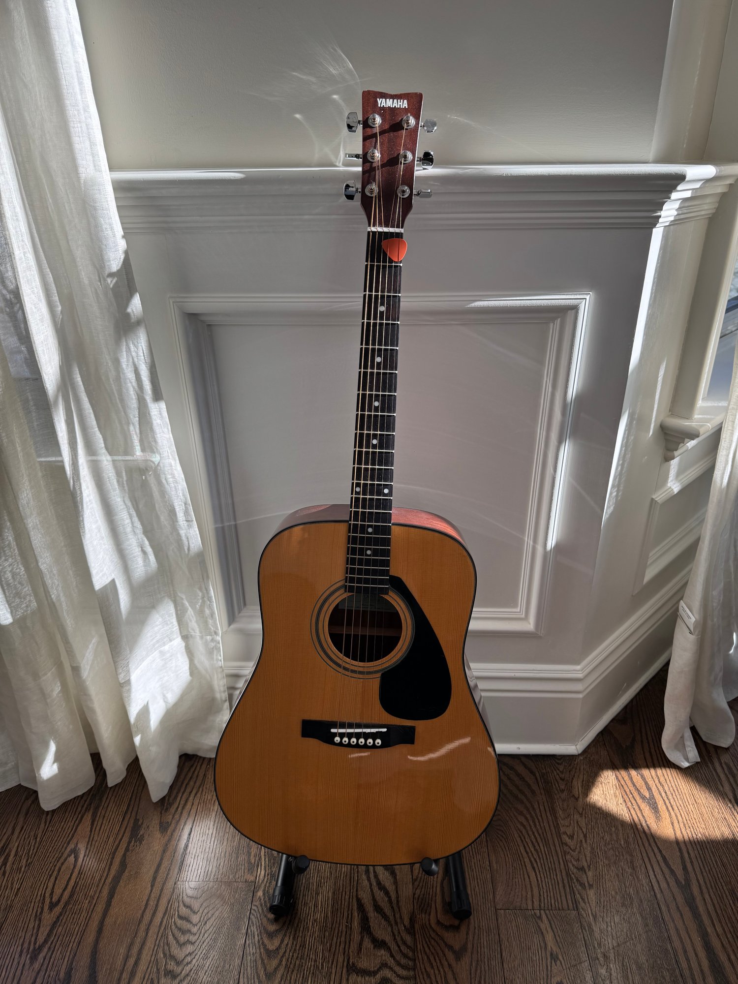 Yamaha FD01S Accoustic Guitar With Stand #10181 | Auctionninja.com