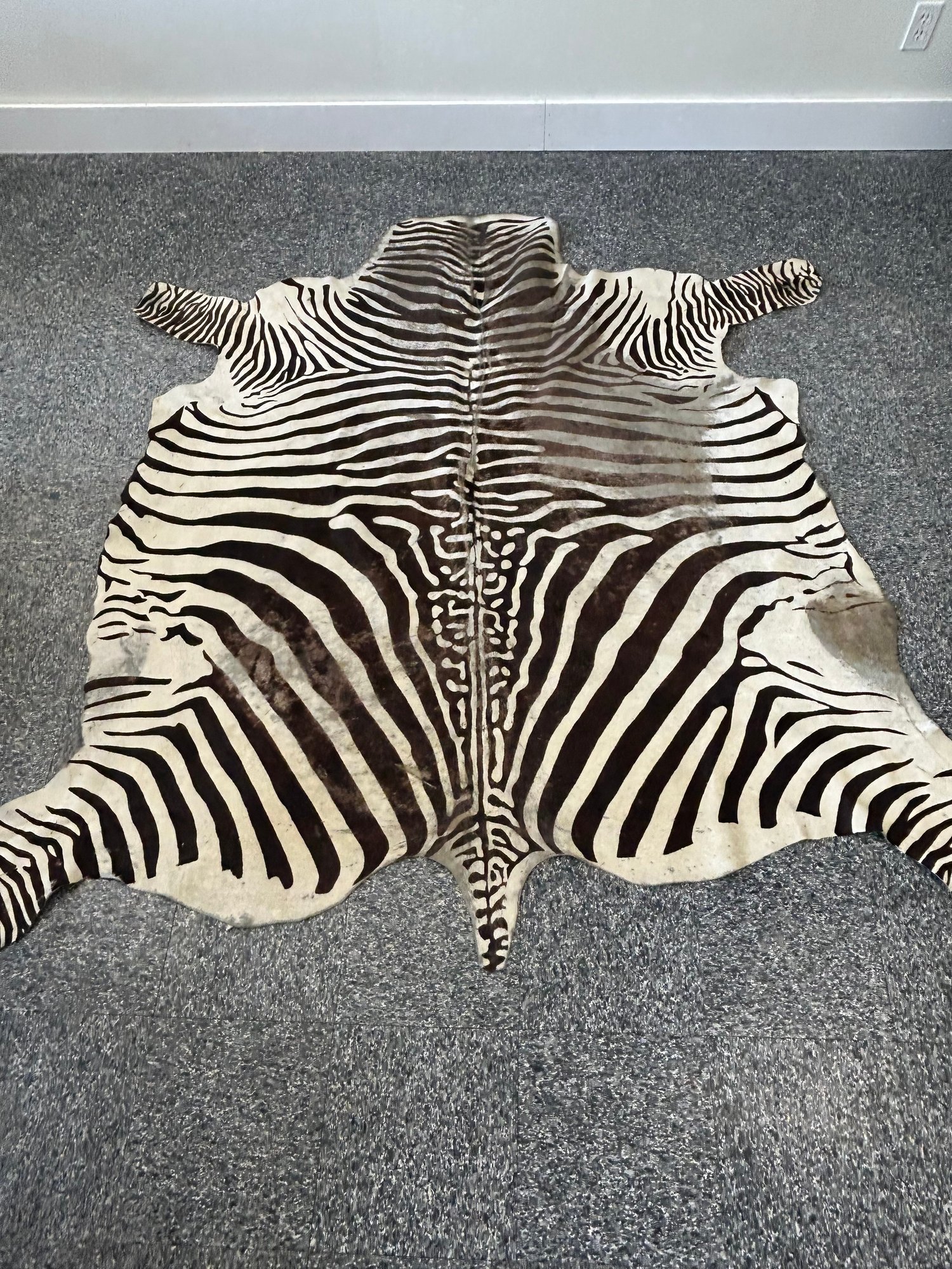 Zebra Hide Area Rug #16779 | Auctionninja.com