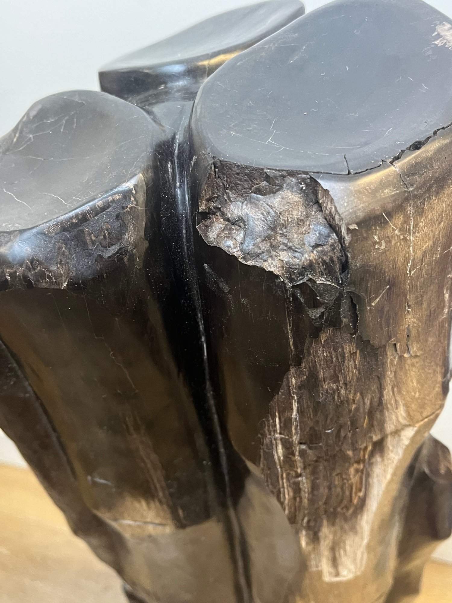 PETRIFIED BAMBOO WOOD SCLUPTURE #6225 | Auctionninja.com