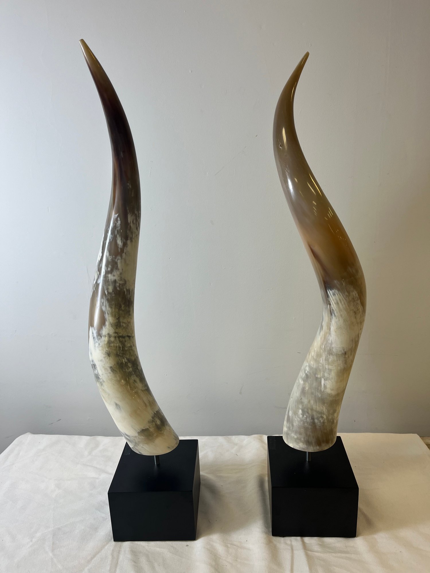 Large Pair Of Mounted Steer/Longhorns #6651 | Auctionninja.com