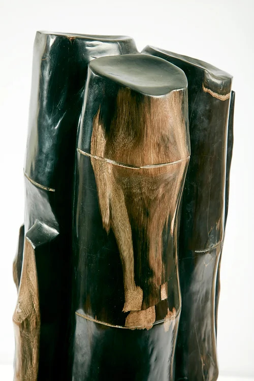 PETRIFIED BAMBOO WOOD SCLUPTURE #6225 | Auctionninja.com
