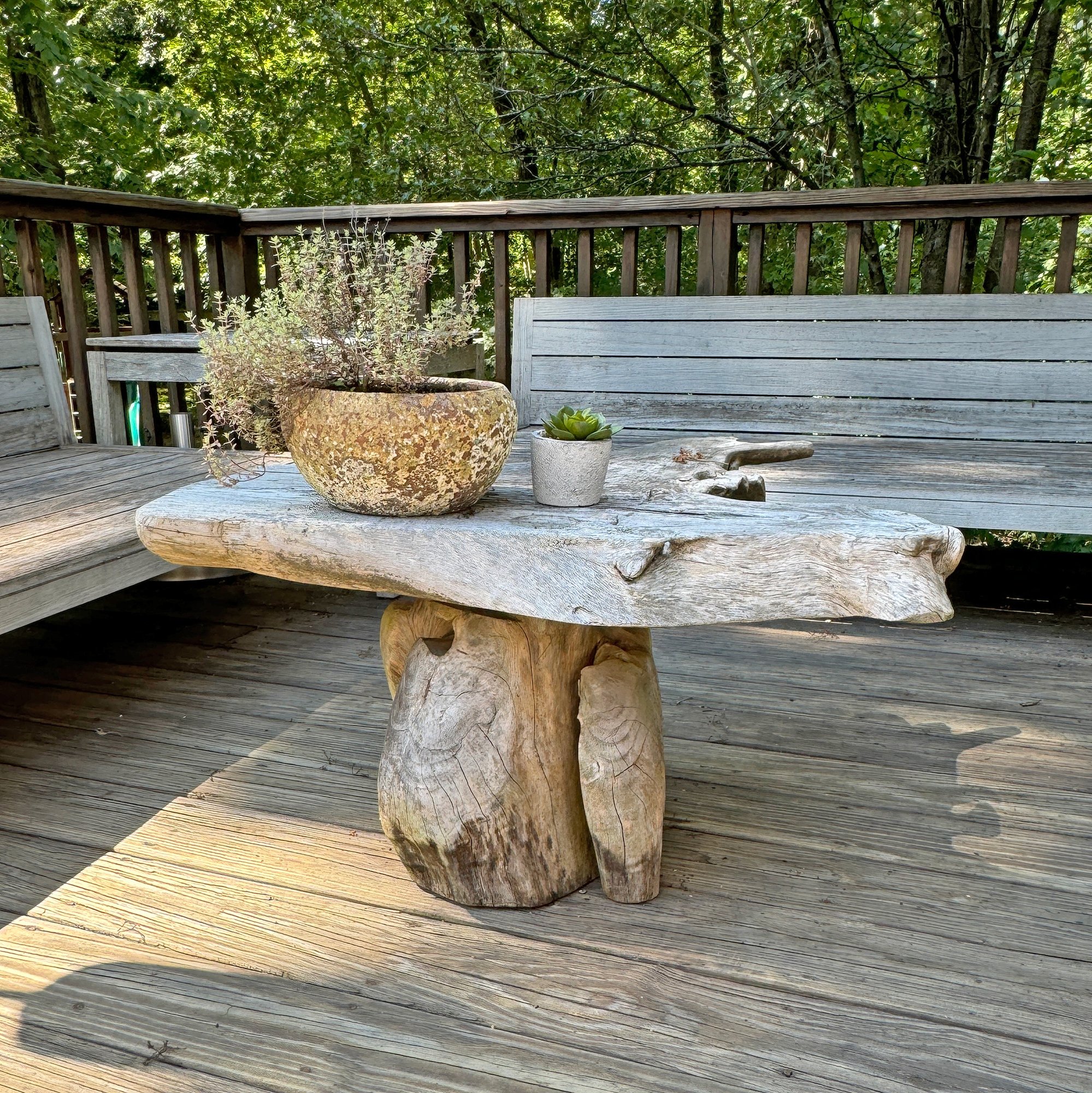 Terrain Teak Root Coffee Table #17487 | Auctionninja.com