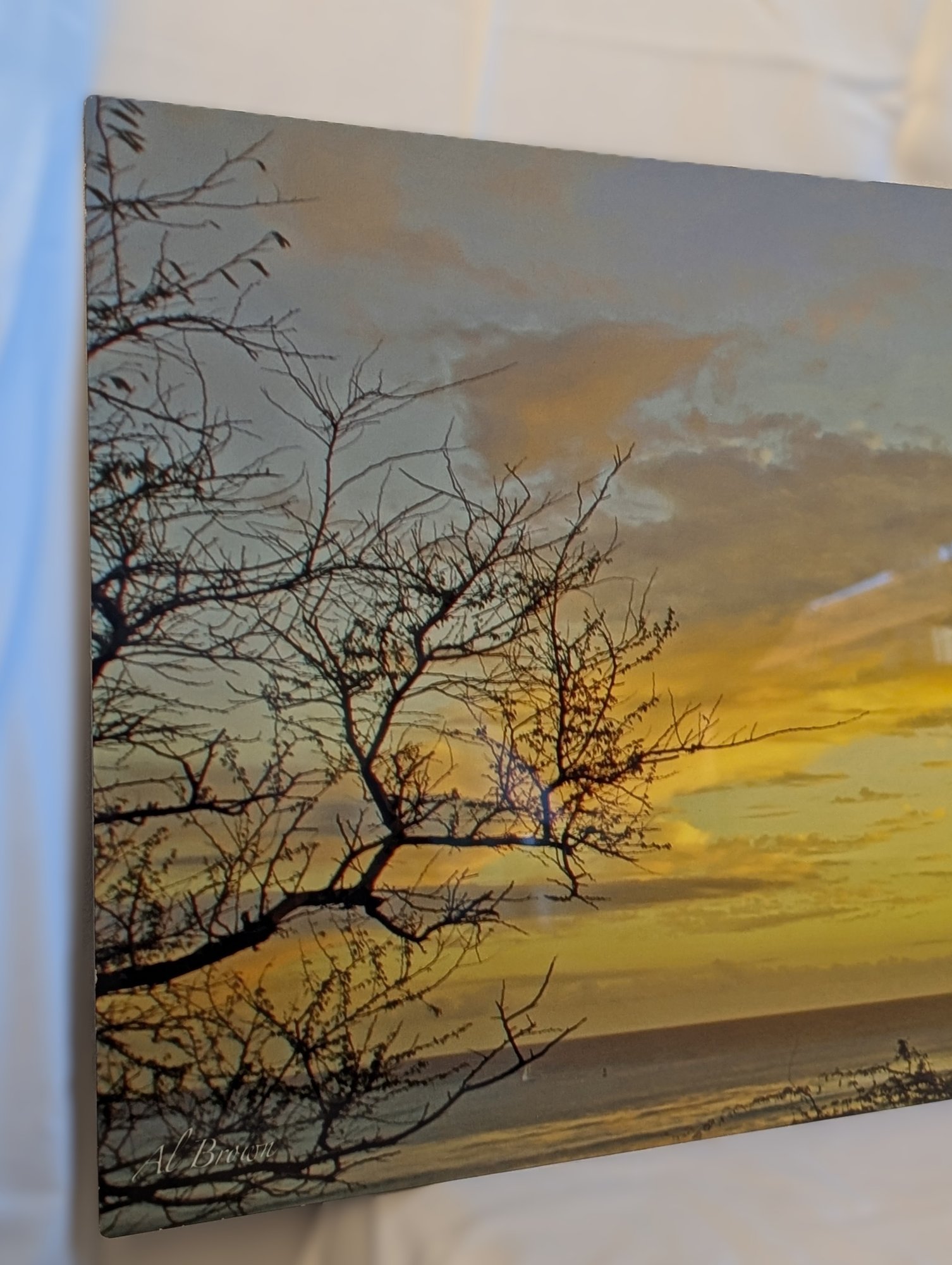 Coastal Sunset Metal Wall Art #2797 | Auctionninja.com