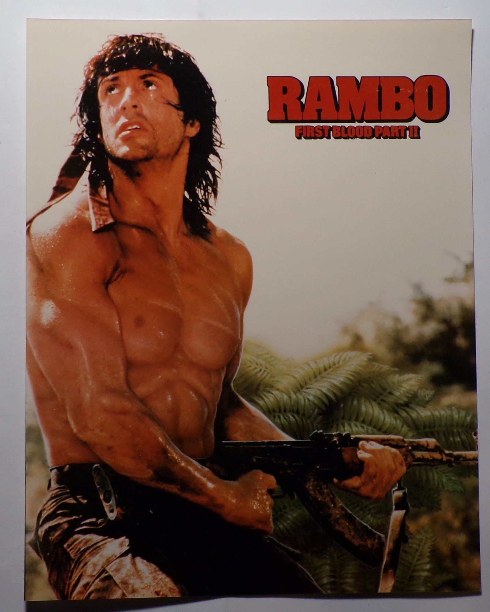 Vintage 8x10 Color Film Picture "RAMBO First Blood Part II" -Actor ...
