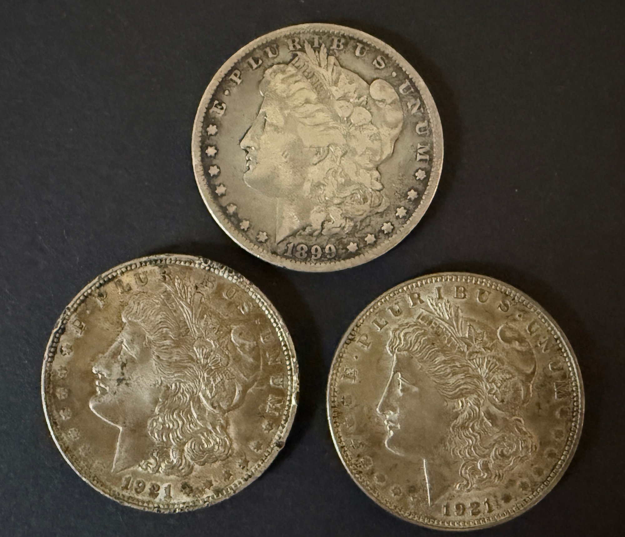 3 Morgan Silver Dollars From 1921 And 1899 #33755 | Auctionninja.com