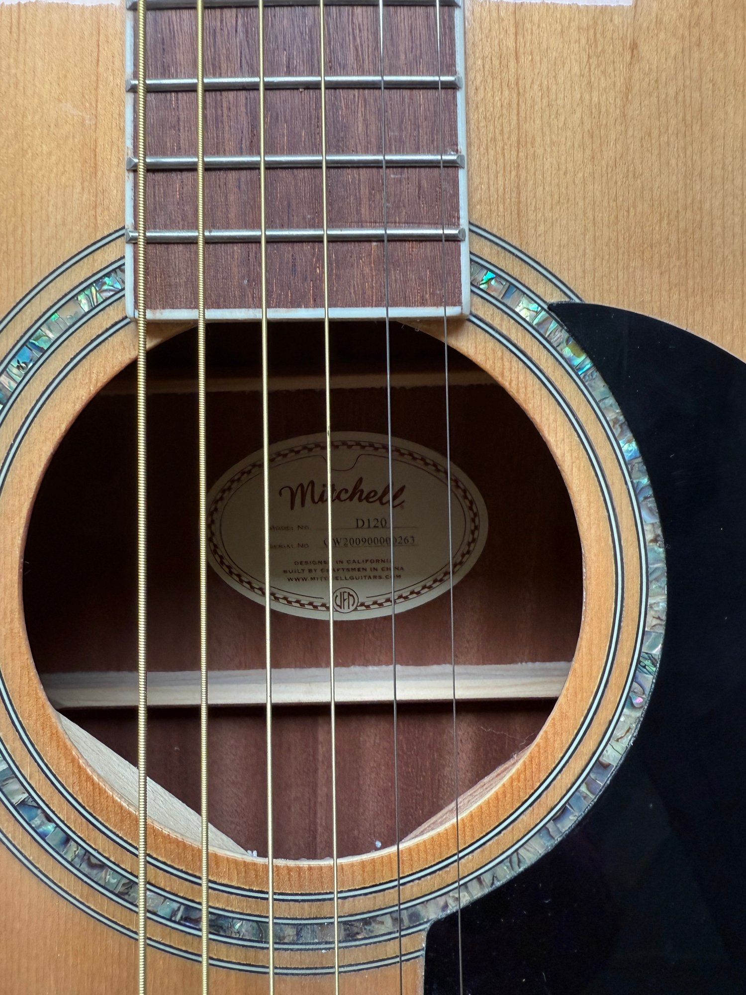 Mitchell D120 Guitar & Road Runner Hard Case #35924 | Auctionninja.com