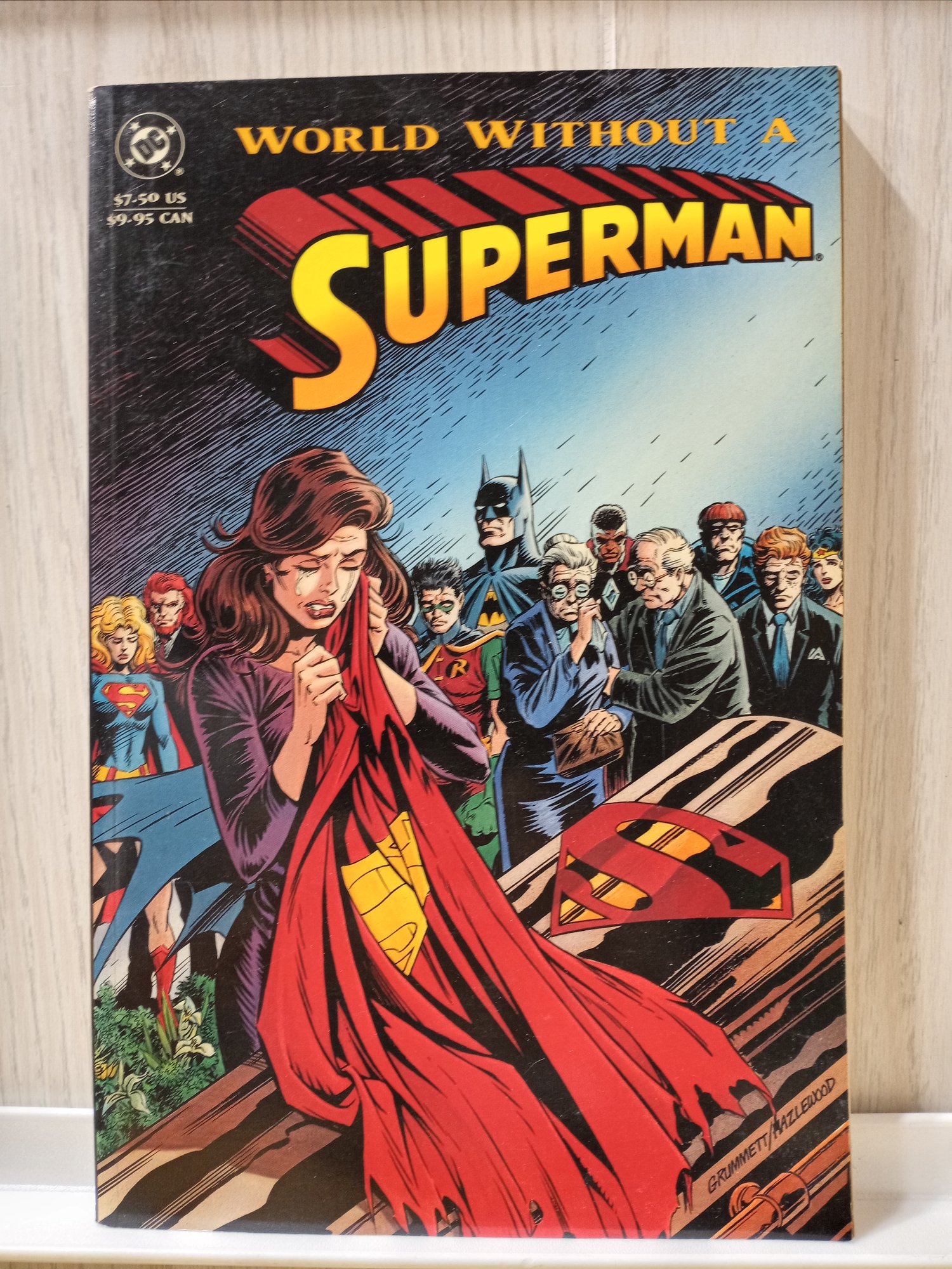 1 DC Graphic Novel: World Without A Superman #4343 | Auctionninja.com