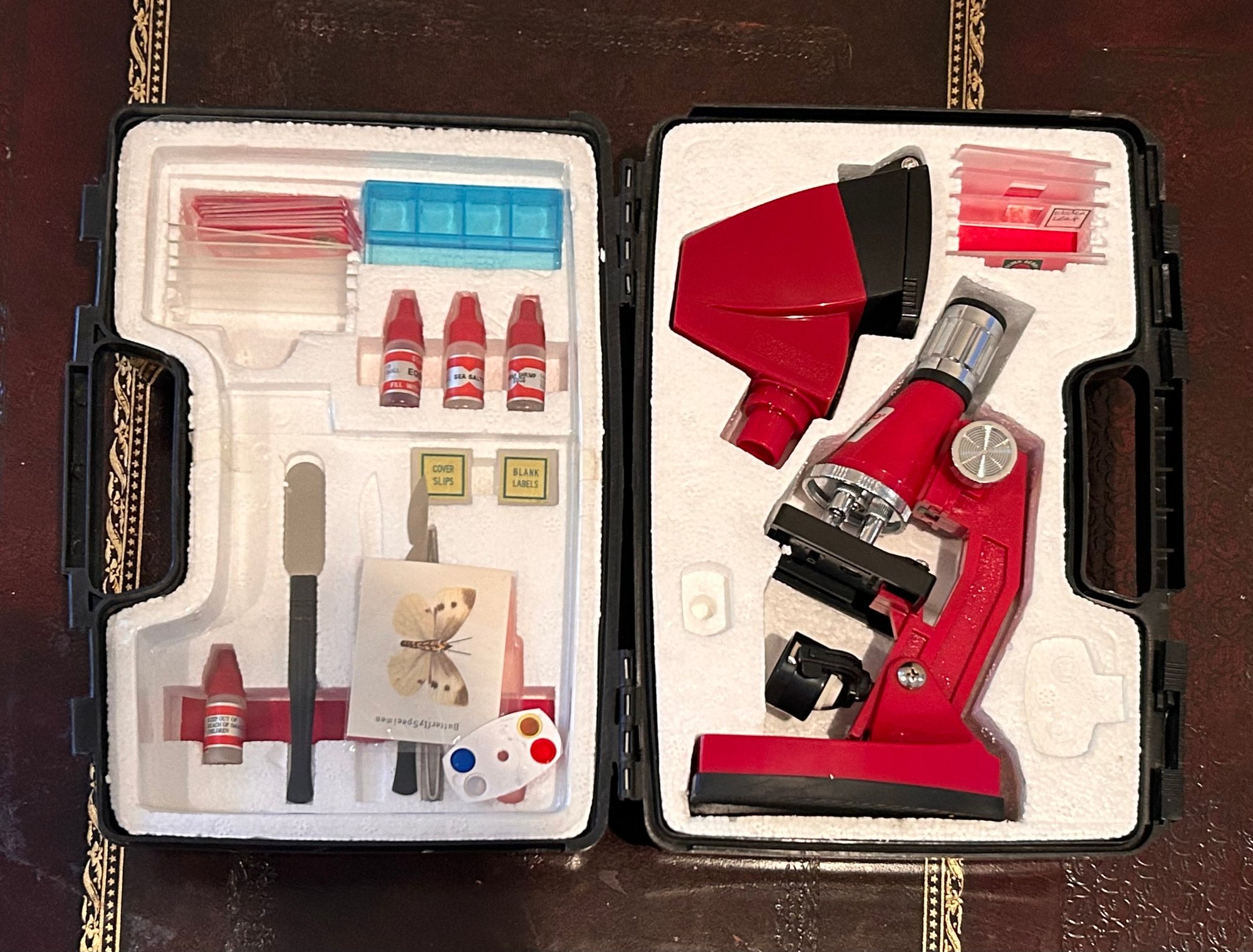 Kids STEM Science Practice Microscope Kit And Supplies #10802 ...