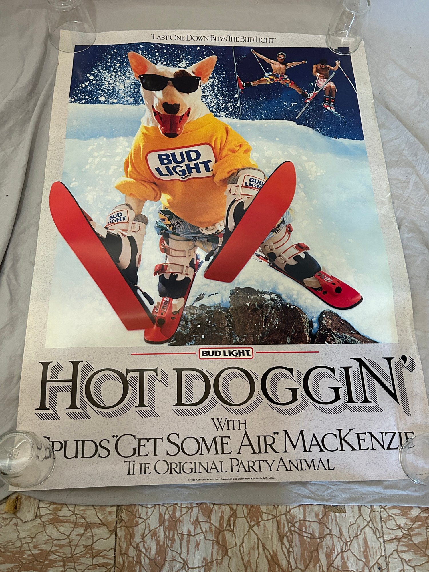Vtg 80s SPUDS MACKENZIE Ski Poster BUD LIGHT Beer Ad #8249 ...