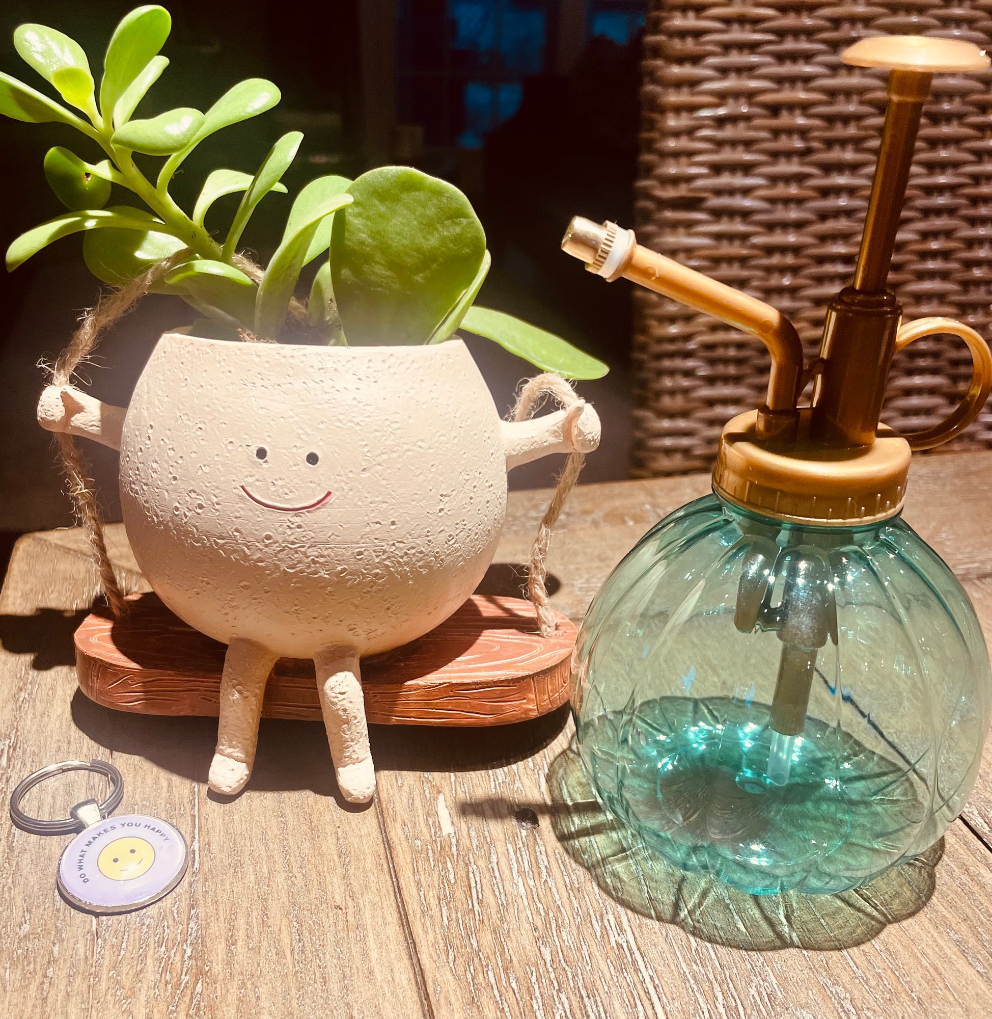 Swing Happy Face Planter With Jade Plant House Plant & Retro Style ...