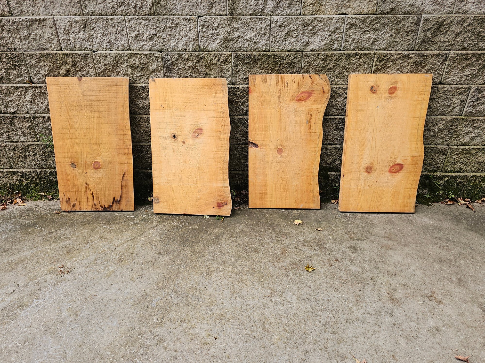 Group Of Four Live Edge Table Tops (or Whatever Other Use You Have For ...