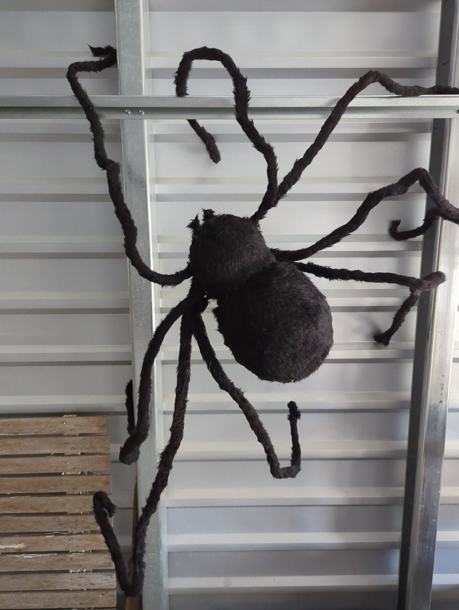 Large Halloween Spider Decor Battery Powered With Light Up Eyes - Body ...