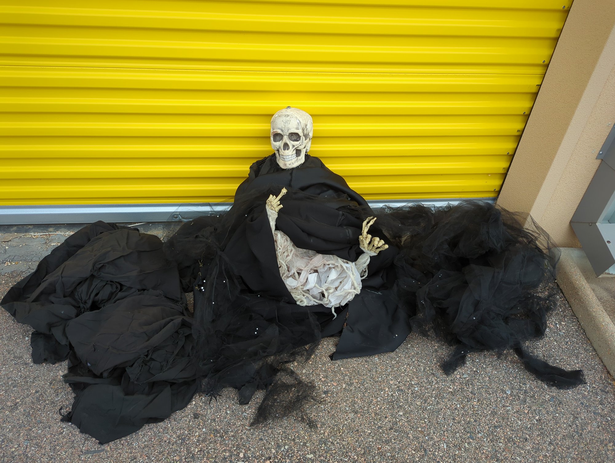 Rude Halloween Decor- Skeleton With One Middle Finger With Lots Of ...