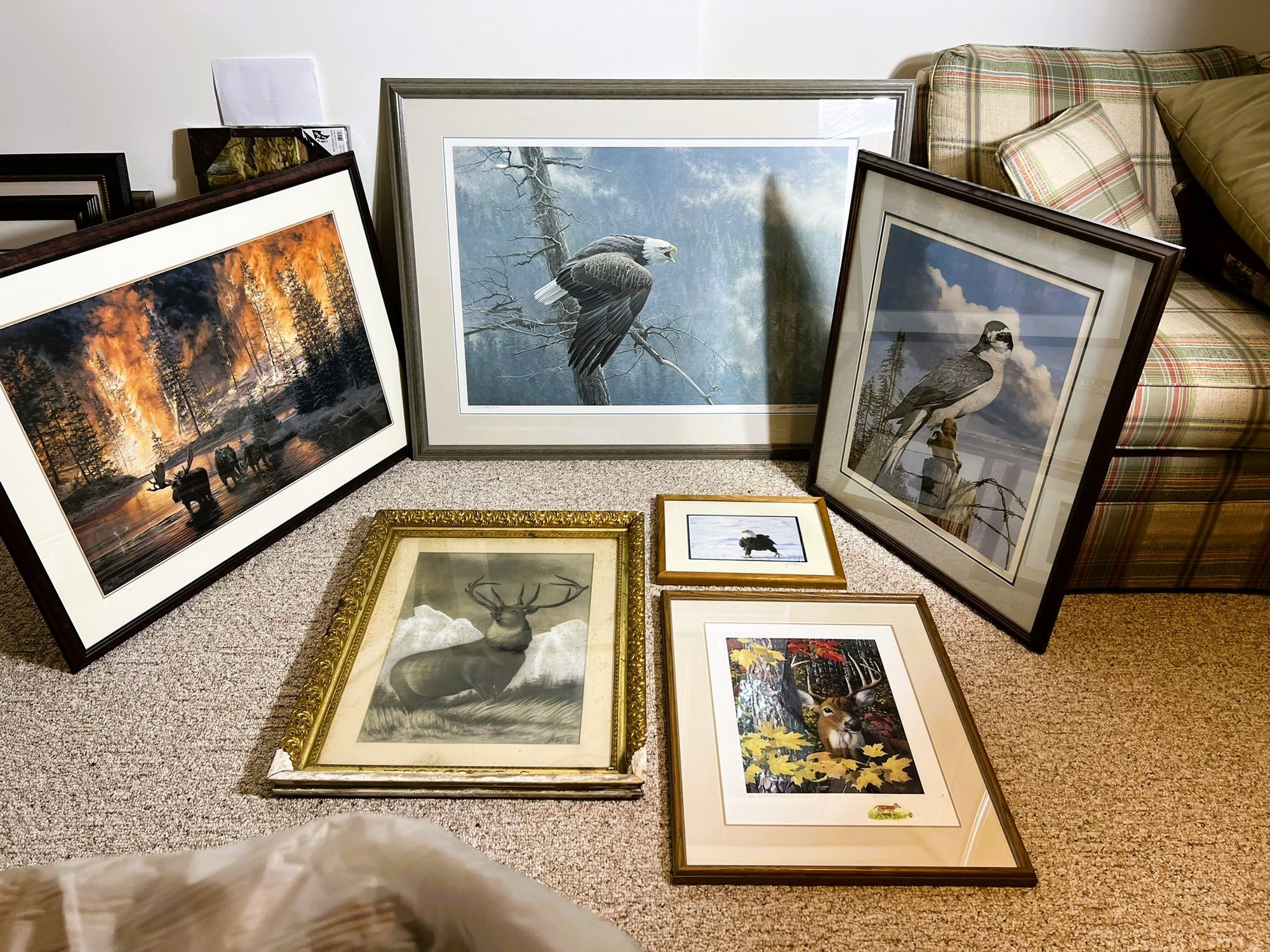 L3/ 6pcs - Framed Wildlife Art: Jim Collins, Lewis, Tschetter, Thomas ...