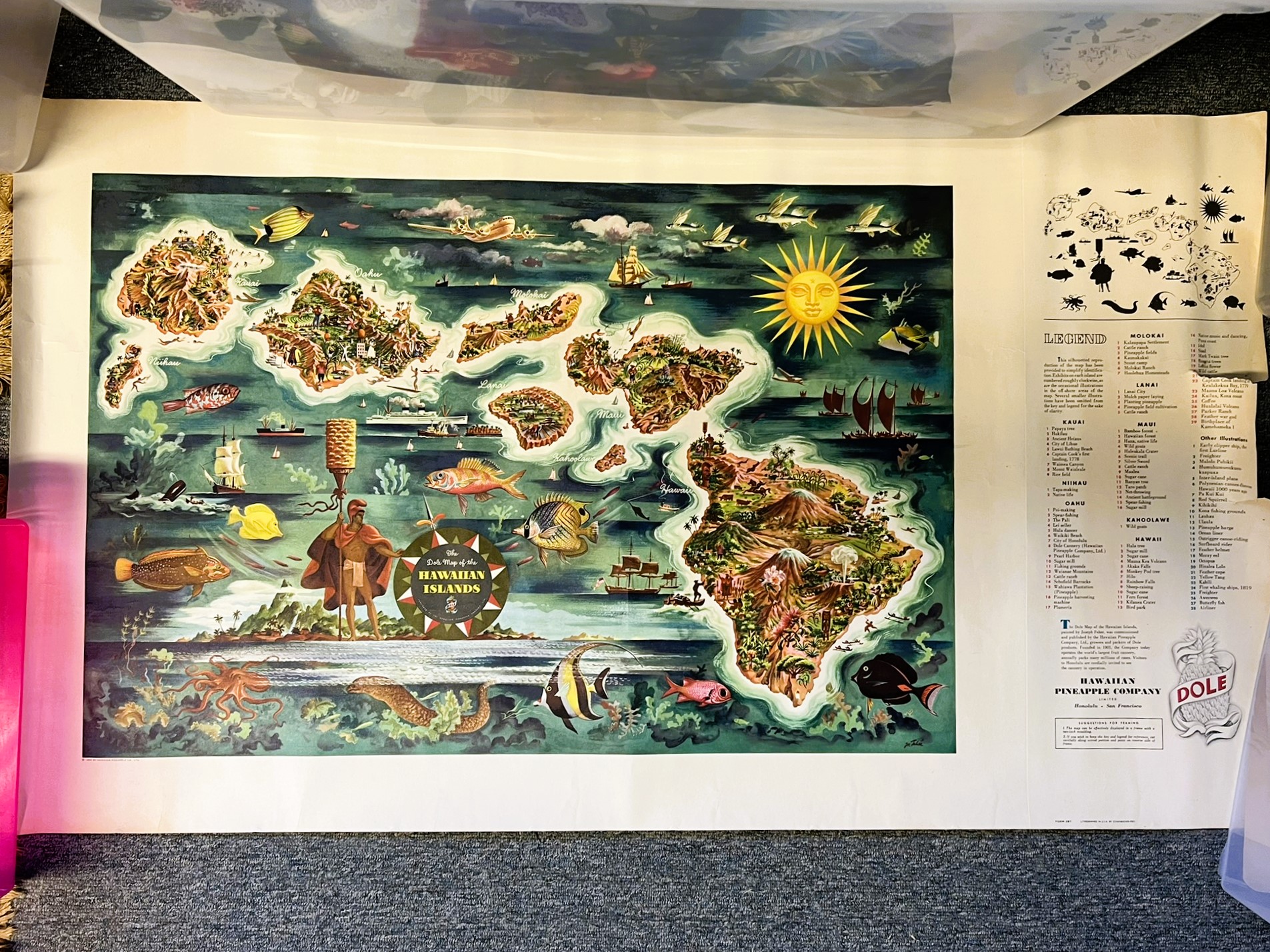 AN - A117/ Vintage Poster: Limited Edition Dole Pineapple Map Of ...