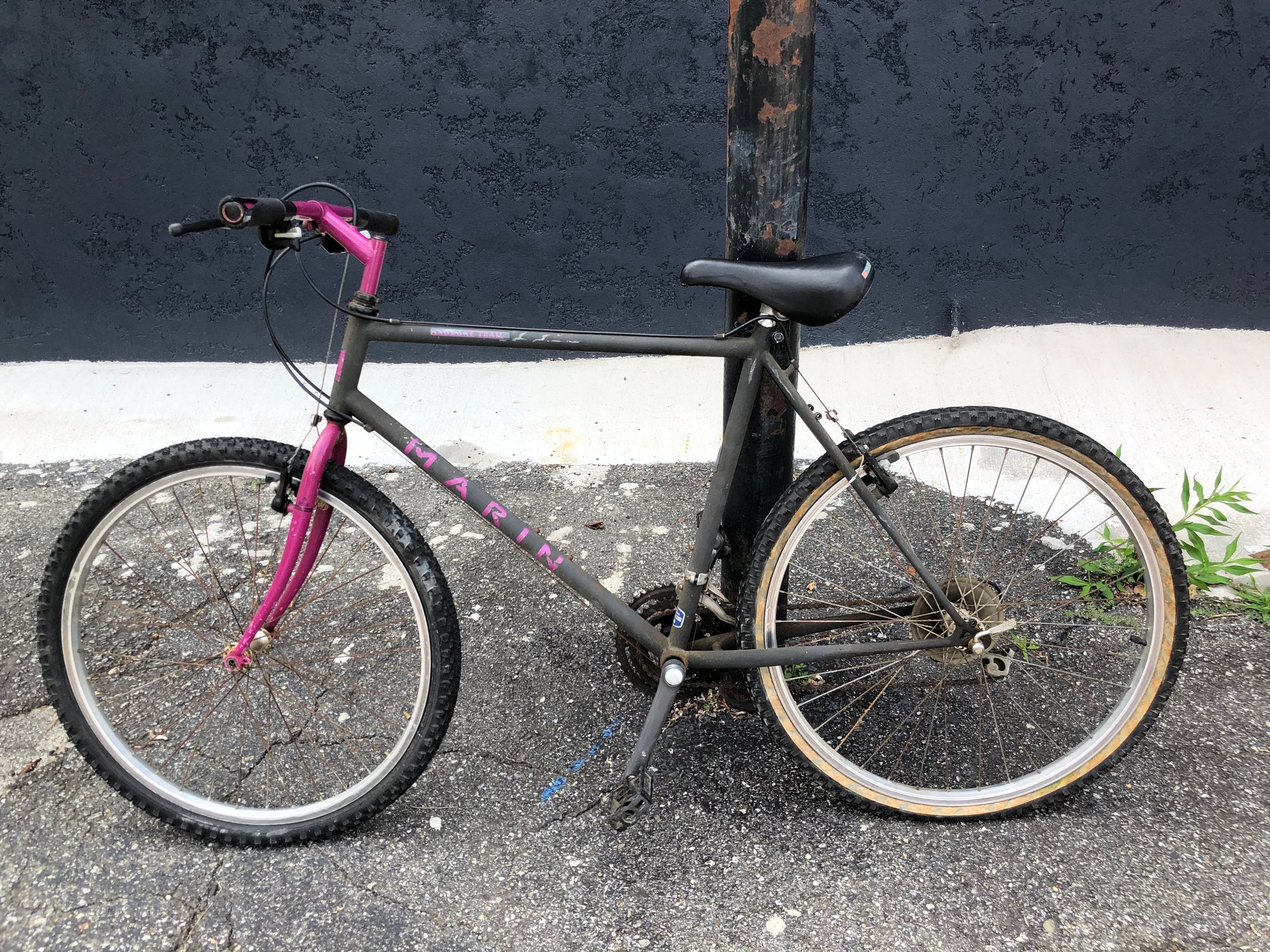 Marin Madrone Trail Mountain Bike - #BR #23243 | Auctionninja.com