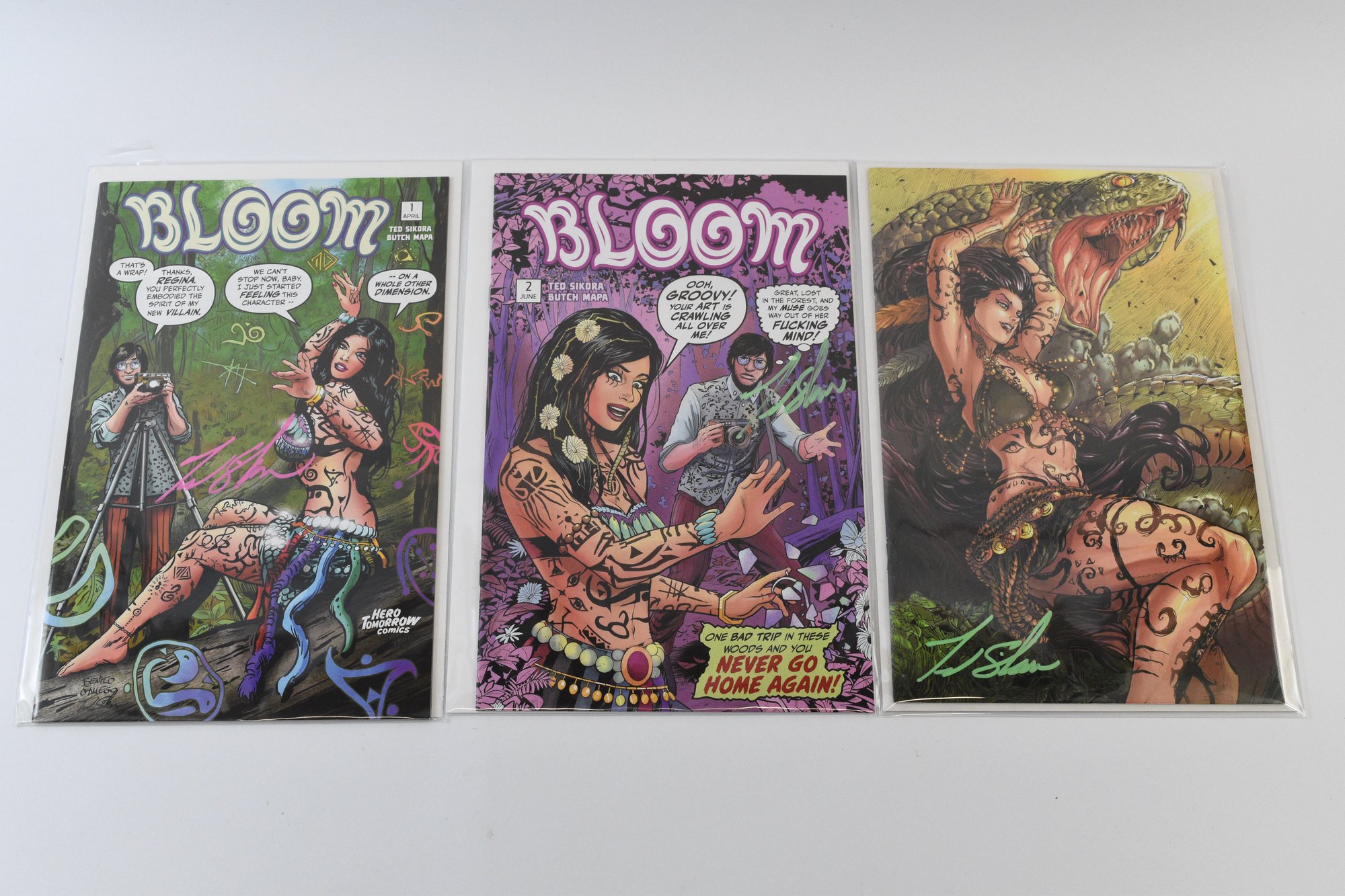 Bloom Comics #1 #2 #3 Signed By Ted Sikora Comic Books - 3 Total #6563 ...