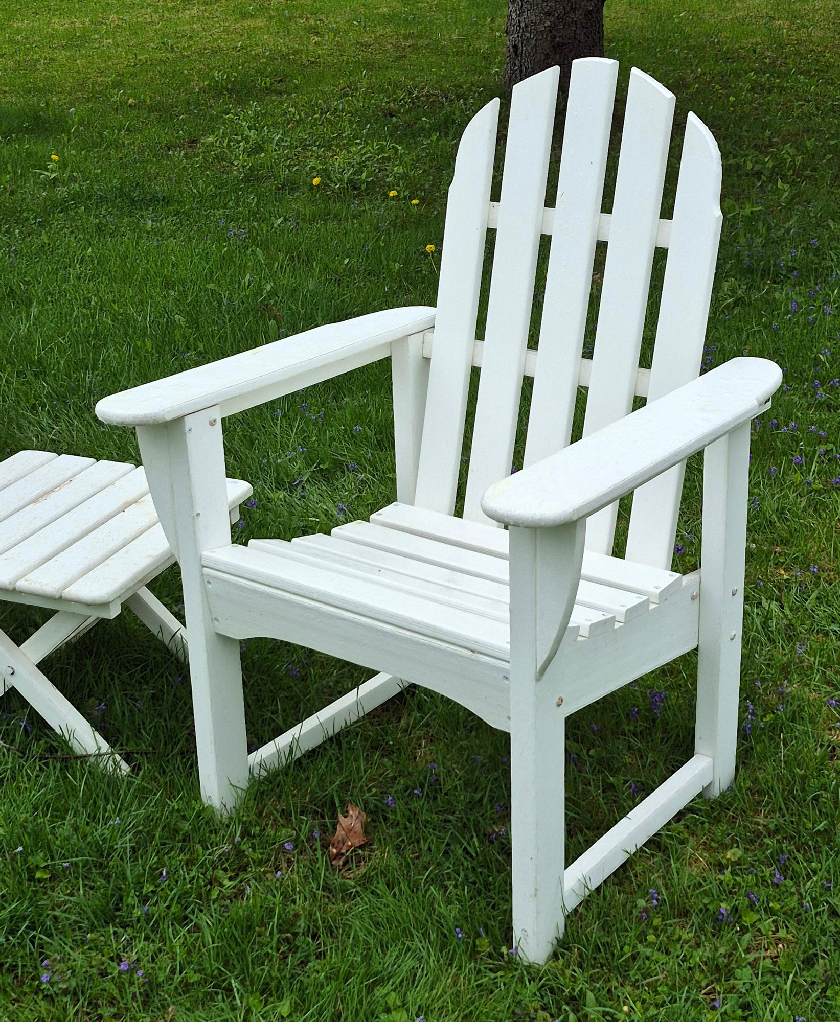 Pr. Poly Wood Adirondack Chairs And Stands, 2 Of 2 (CTF40) #48623 ...