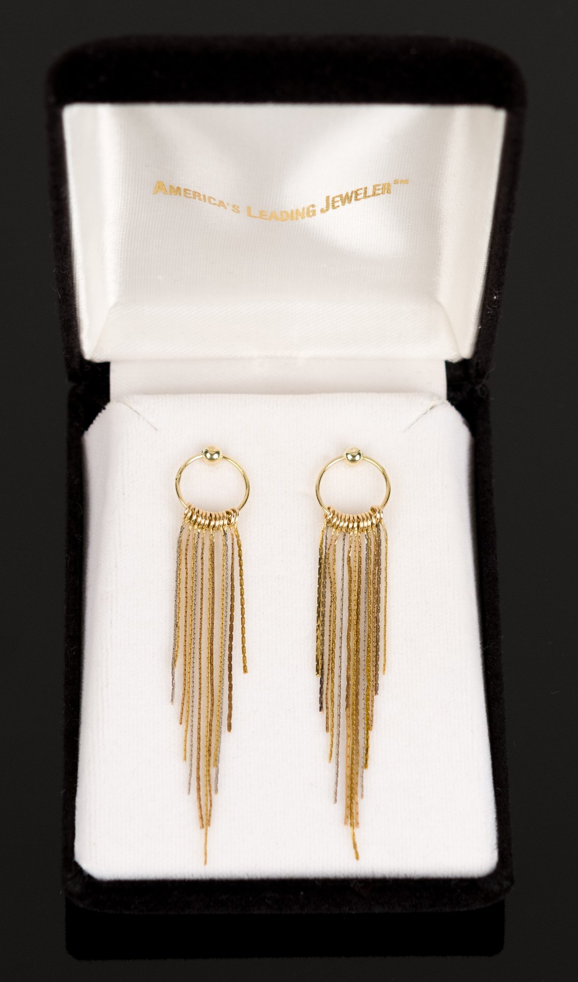 14k Tri-gold Chain Fringe Dangle Earrings (CTF10) #54387 | Auctionninja.com