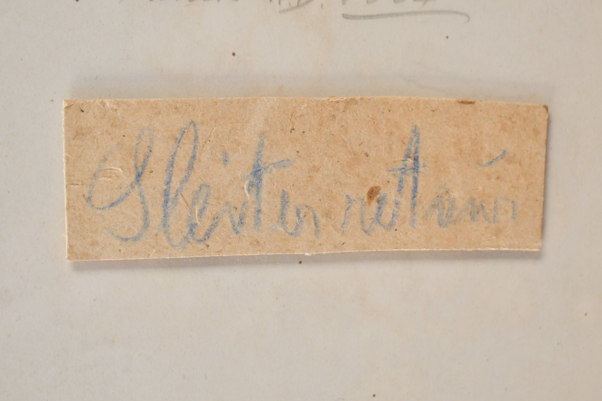 Antique Watercolor With History (CTF20) #54135 | Auctionninja.com
