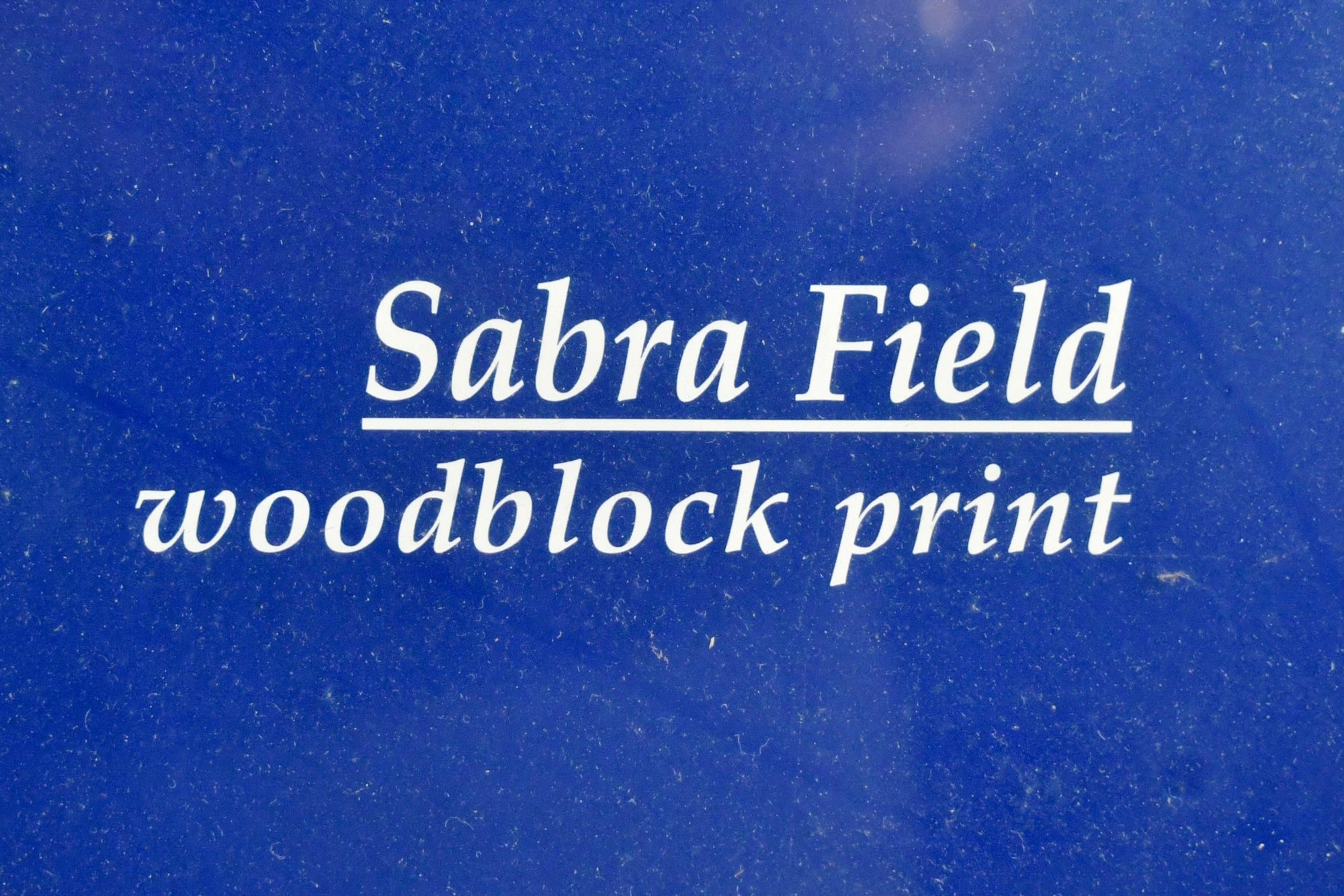 Sabra Field Signed Lithograph, The Mountain School (CTF20) #50873 ...