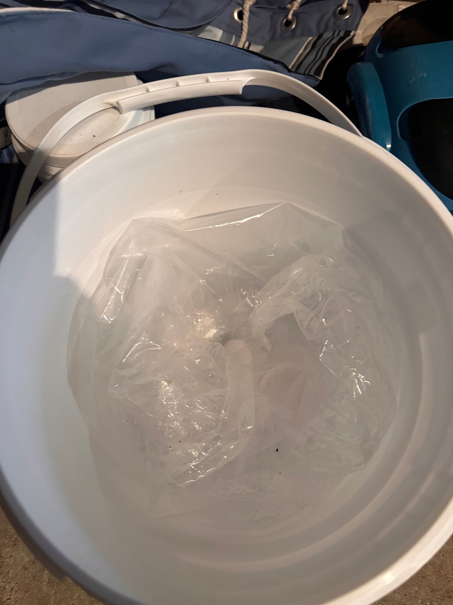 Dolphin Nautilus CC Plus Robotic Pool Cleaner #44297 | Auctionninja.com