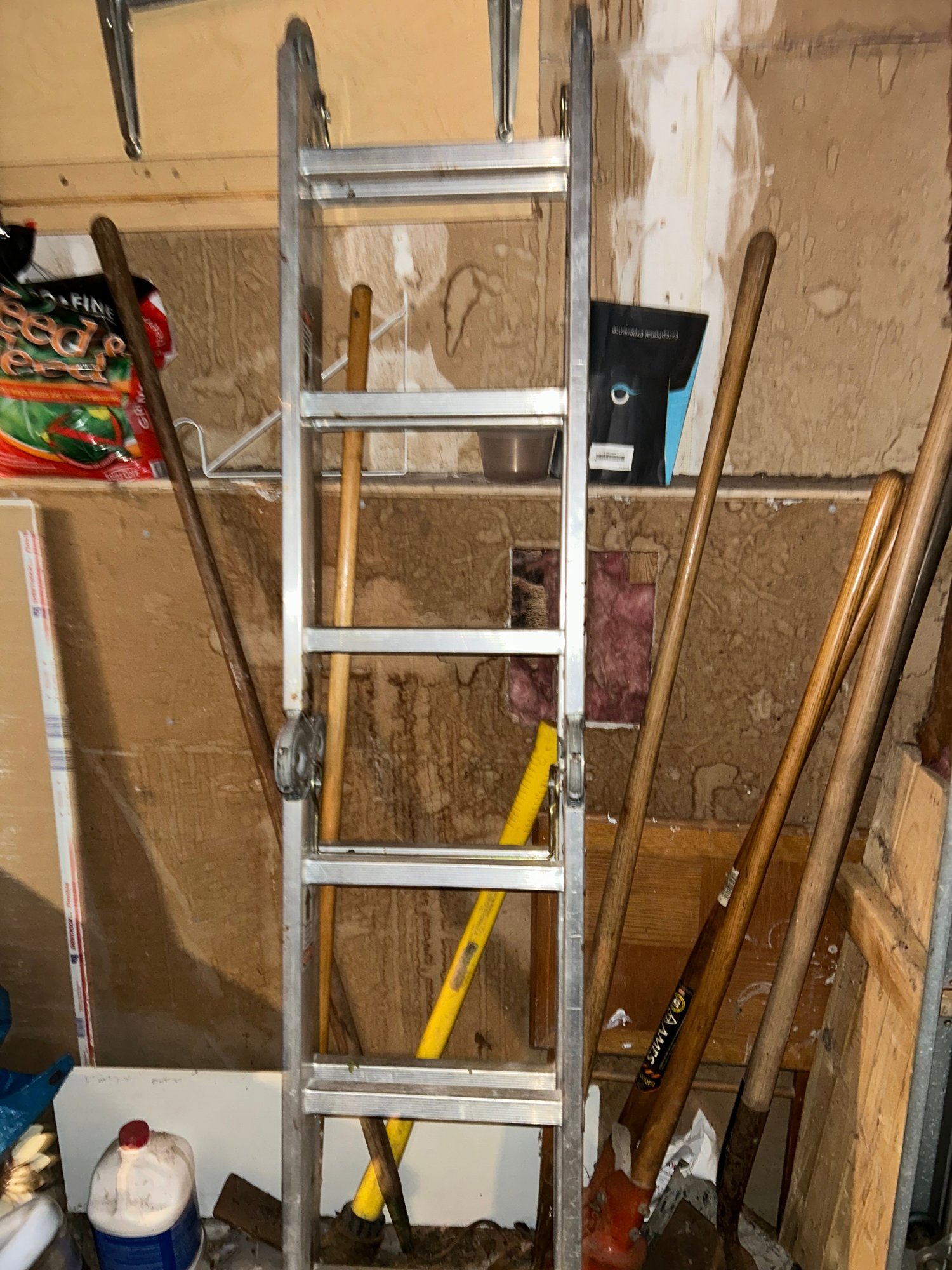 12 Ft Ladder #44343 | Auctionninja.com