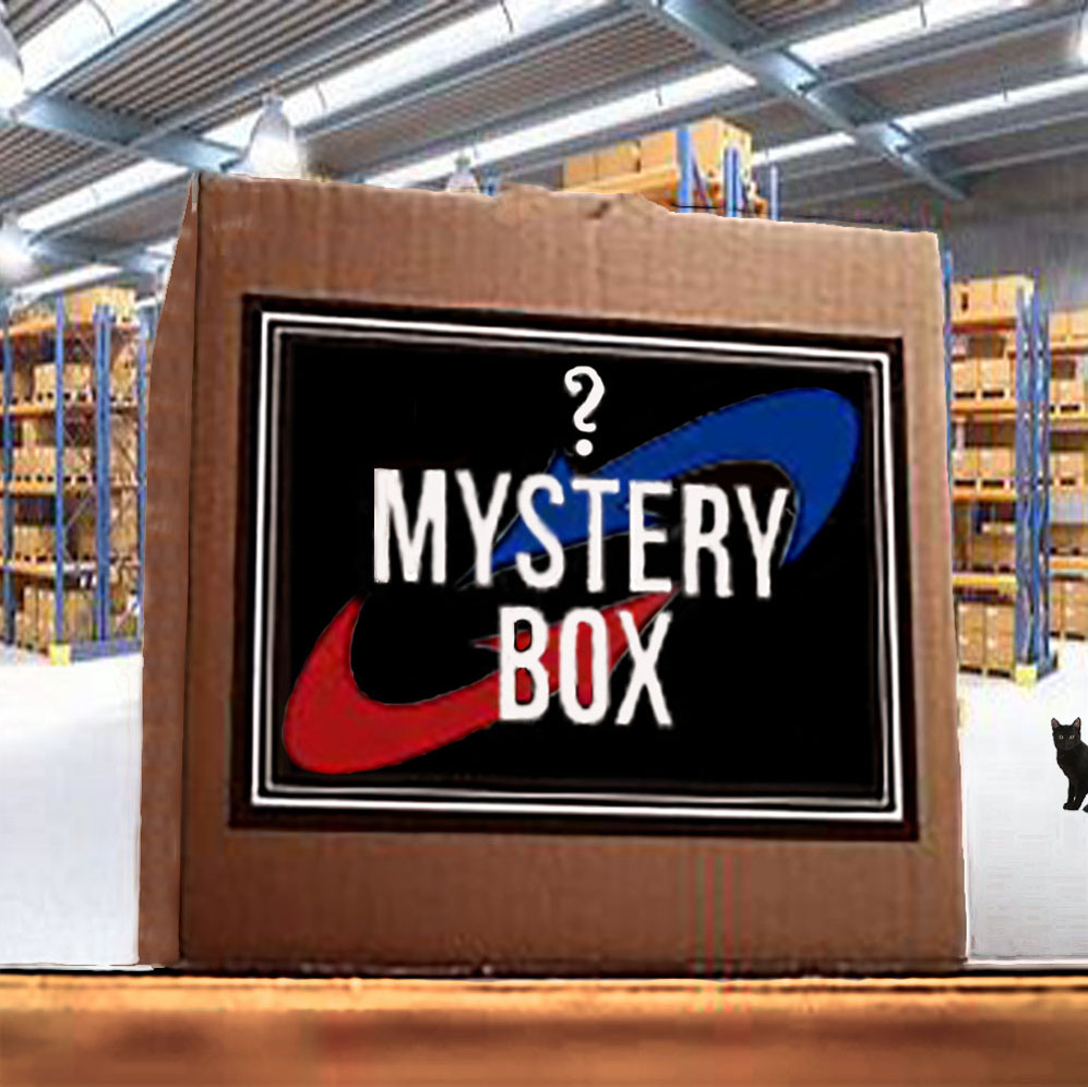 The Infamous Mystery Box #8 #11216 | Auctionninja.com