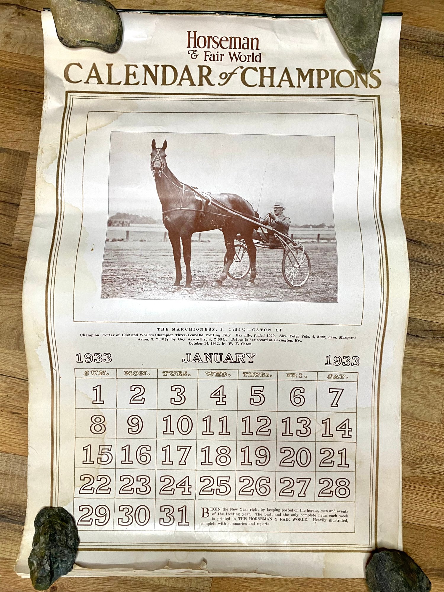 1933 Calendar Of Champions -horse Racers #2094963 | Auctionninja.com