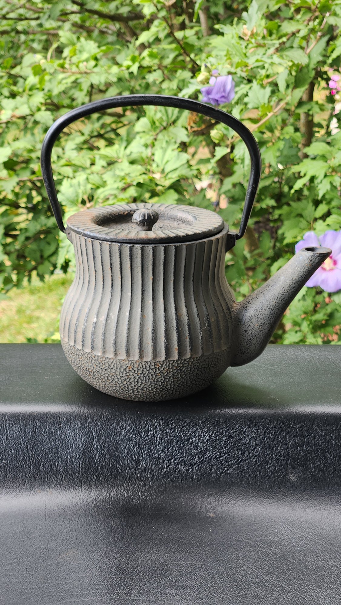 Cast Iron Teapot #11757 | Auctionninja.com