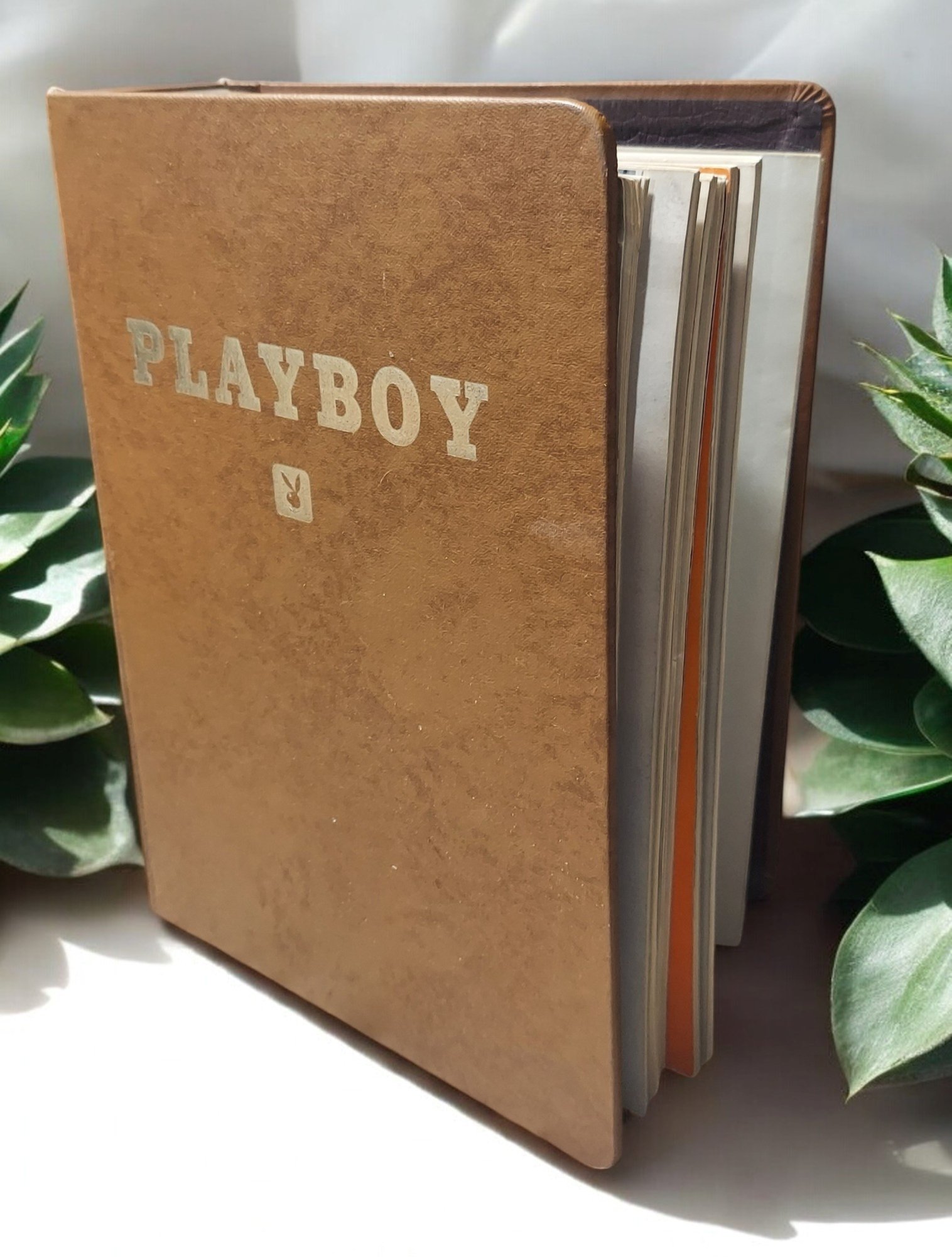 Vintage 1966 Playboy Magazine Full Year Complete Set Including Centerfolds #11988 | Auctionninja.com
