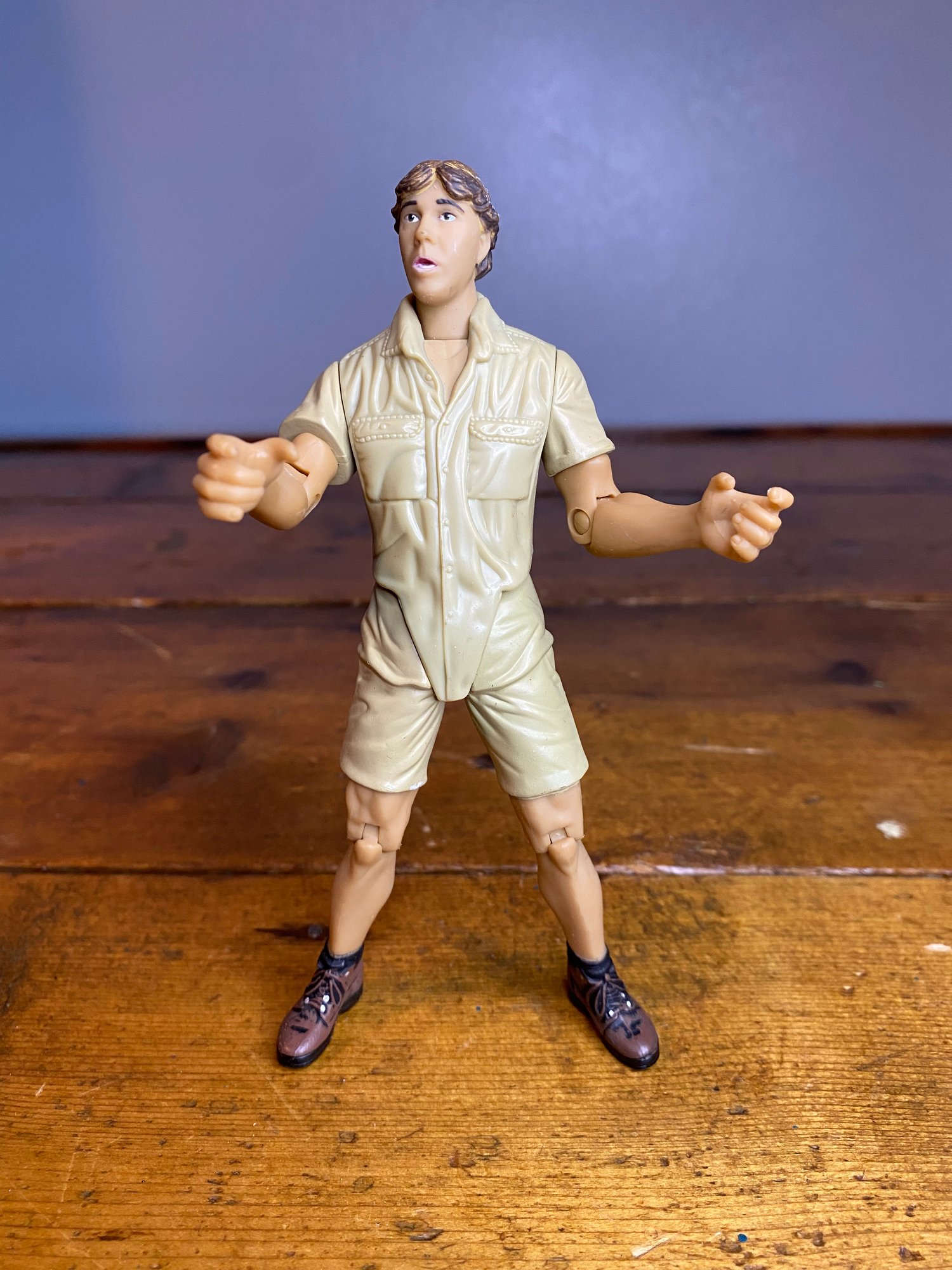 Lets End The Auction With A Crike Mate- Steve Irwin Figure #2045045 ...
