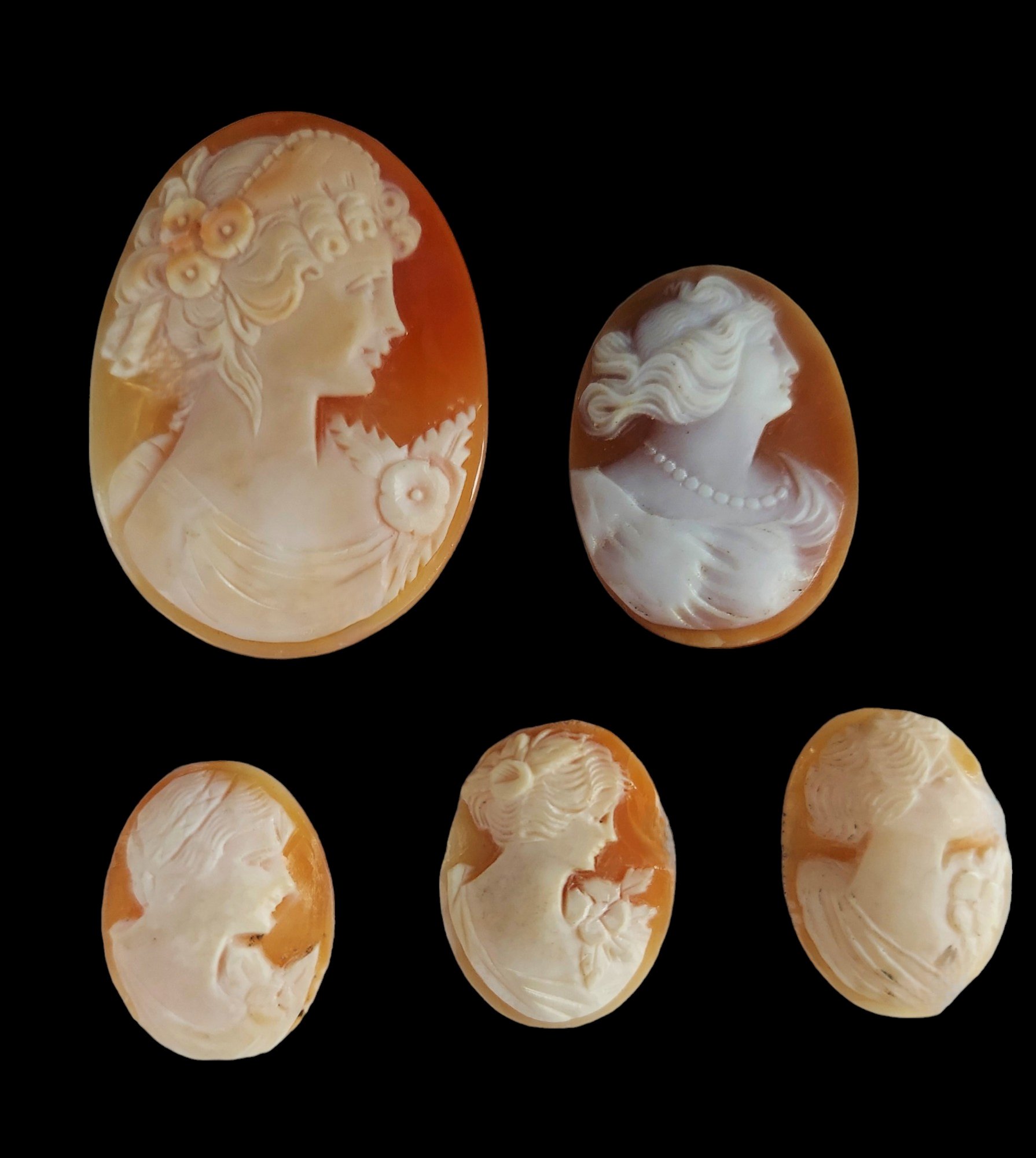 GROUP OF 5 ANTIQUE CARVED SHELL CAMEOS #7202 | Auctionninja.com