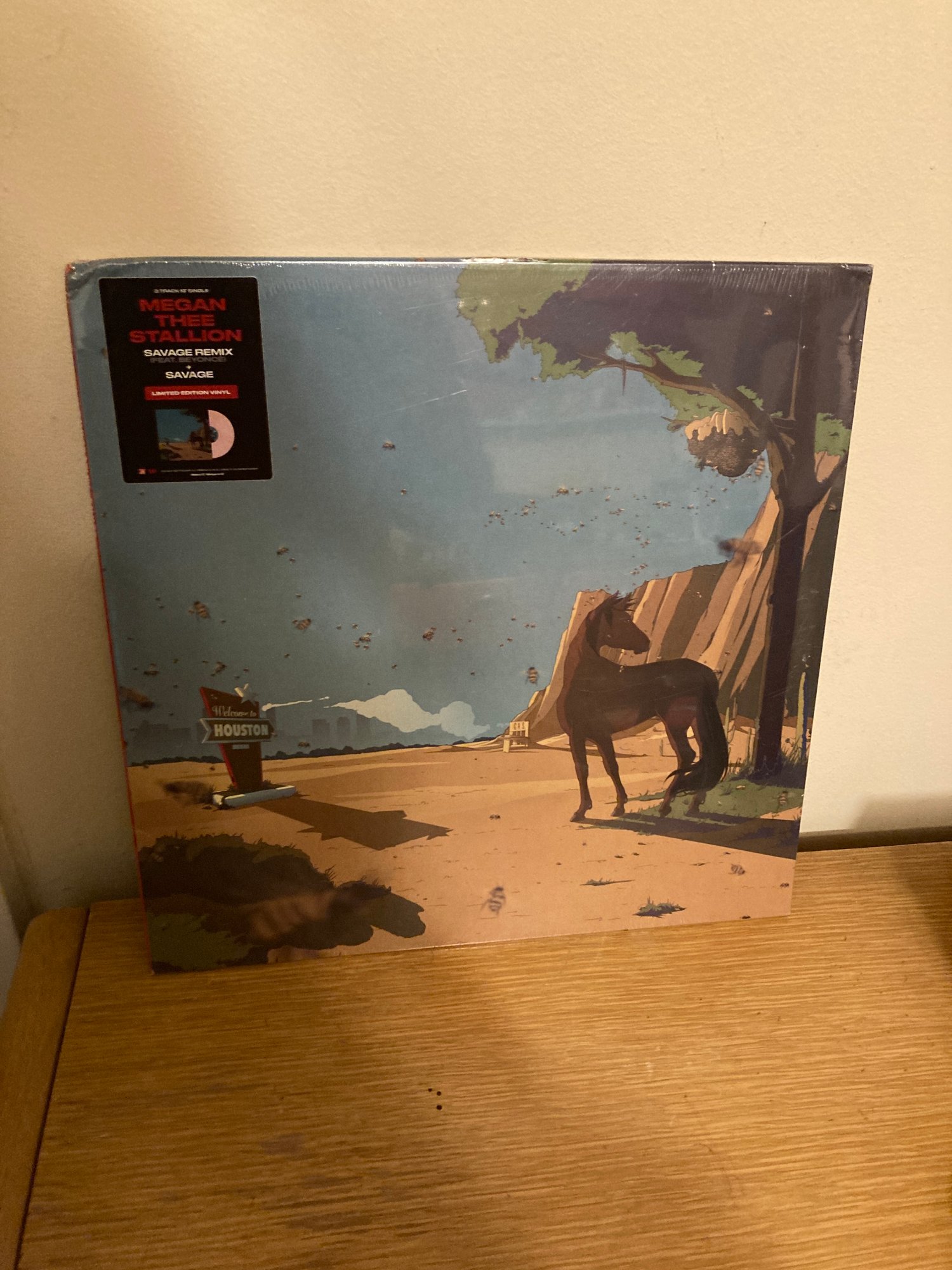 Megan Thee Stallion Lp Record #20501 | Auctionninja.com