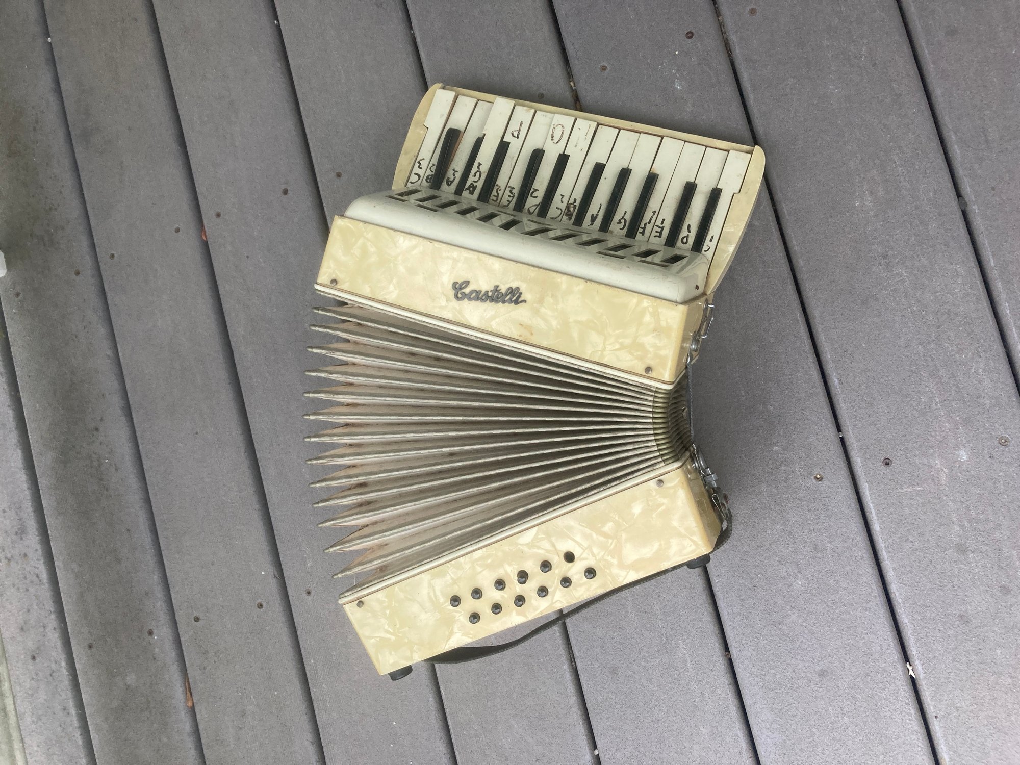 Castelli Vintage Squeeze Box Accordion ? #2117829 | Auctionninja.com