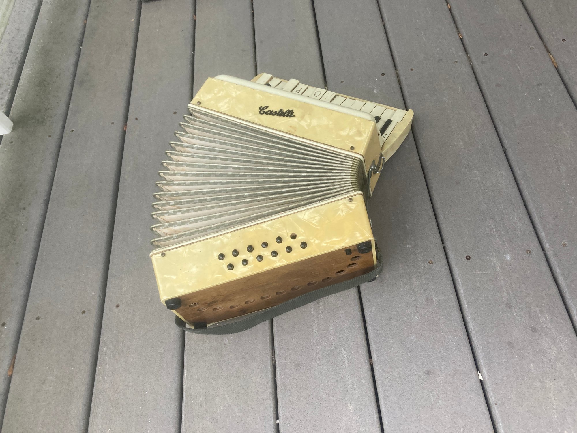 Castelli Vintage Squeeze Box Accordion ? #2117829 | Auctionninja.com