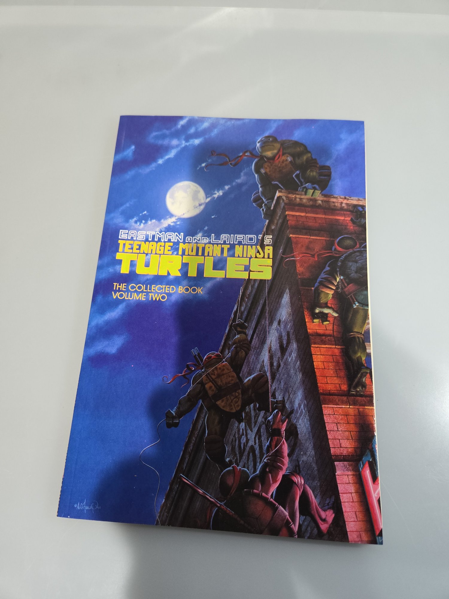 Teenage Mutant Ninja Turtles The Collected Book Volume Two - Good ...