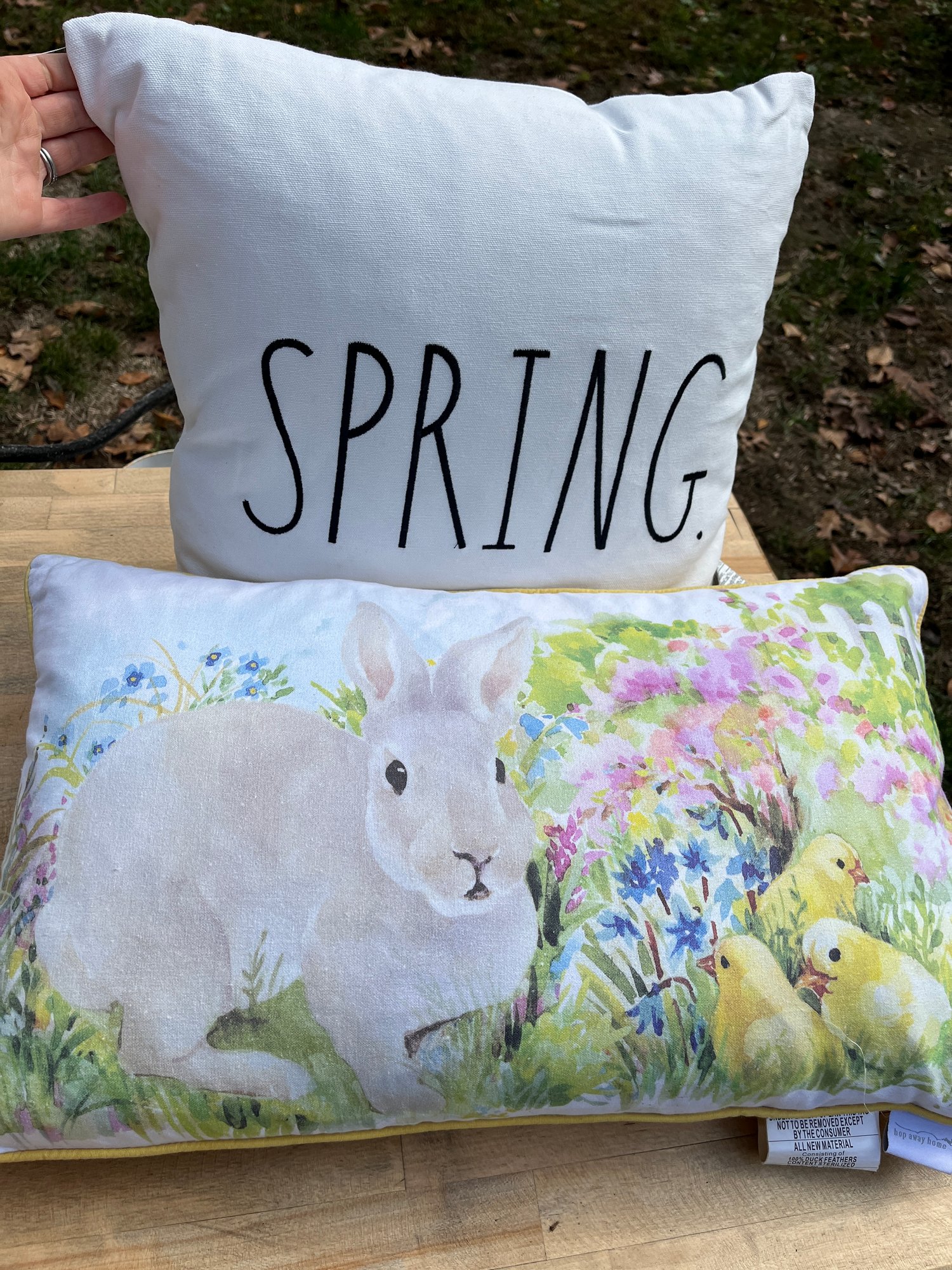 2 Spring Pillows (one "Rae Dunn" And One "Hop Away Home") #3810 ...